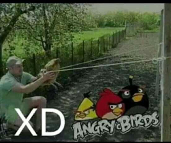 Bird Scrolller