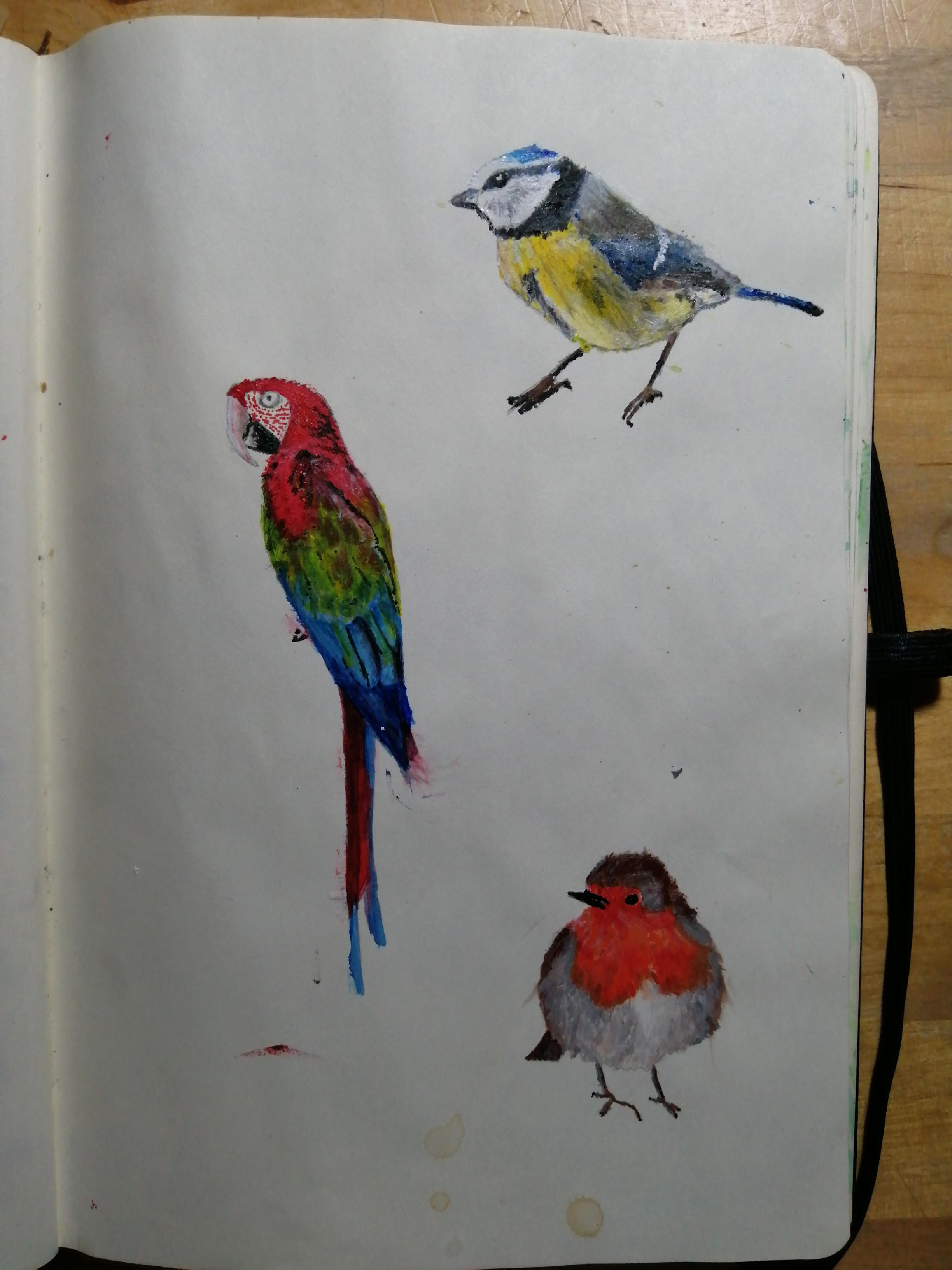 Bird practice with acrylic paint | Scrolller