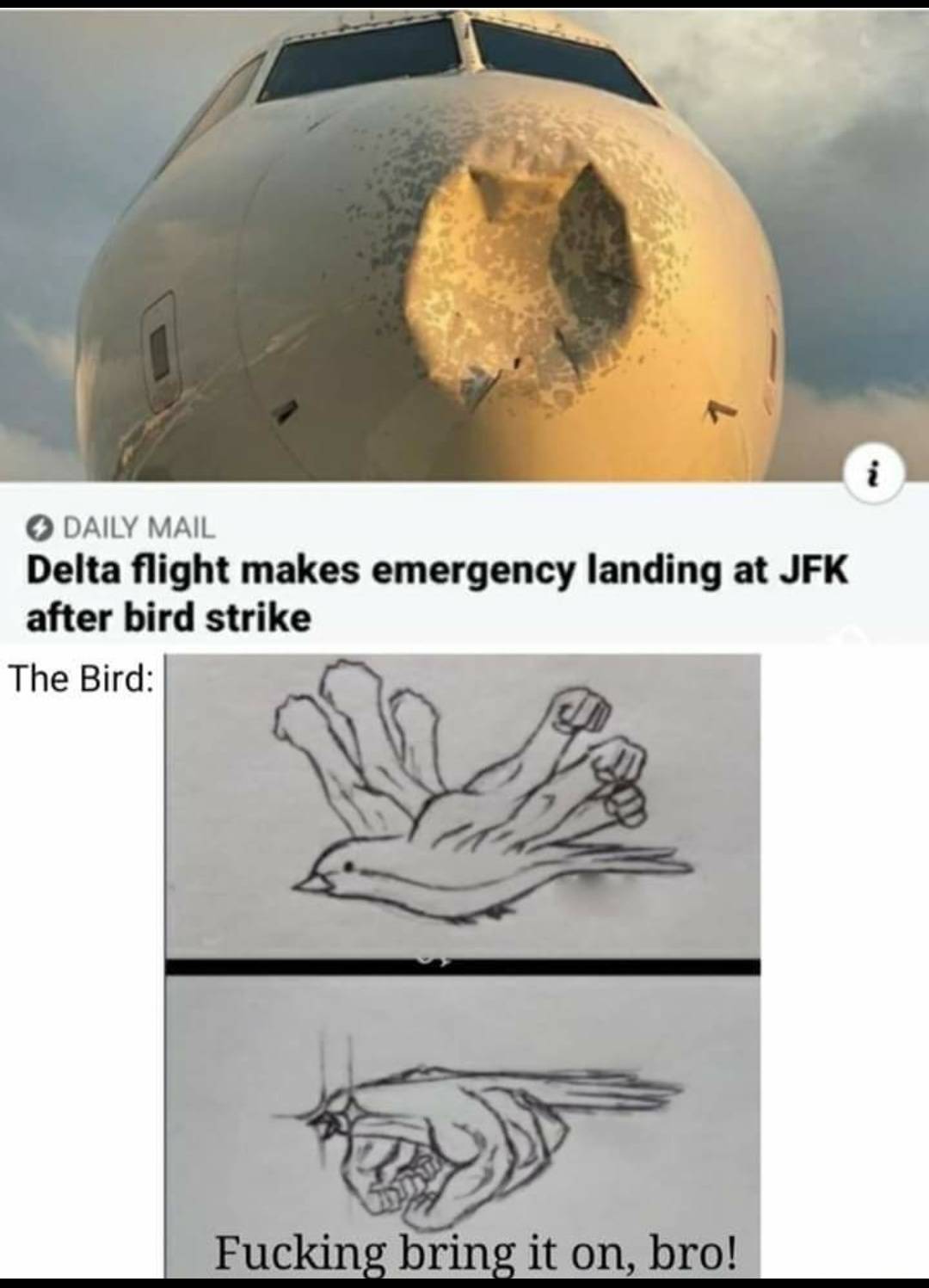 Birdie got no chill | Scrolller