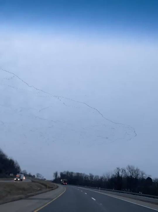Birds migration sky patterns | Scrolller