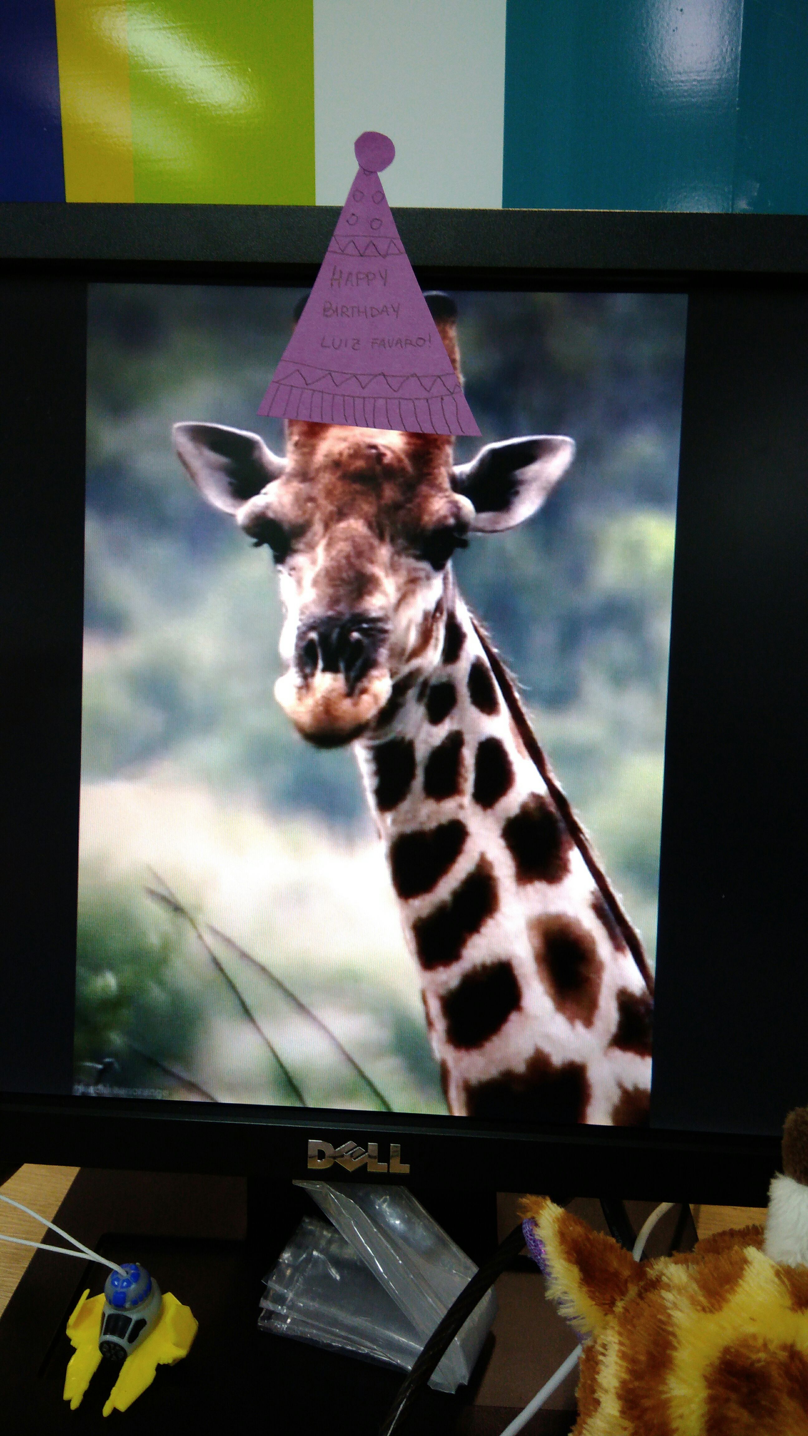 Birthday surprise at work today *---* | Scrolller