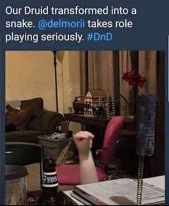 Blessed_druid | Scrolller