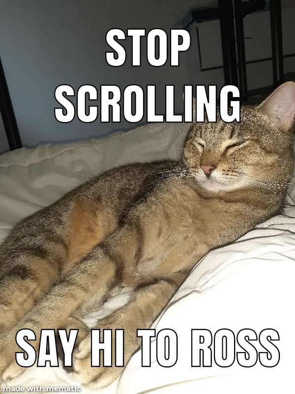 Blessed ross | Scrolller