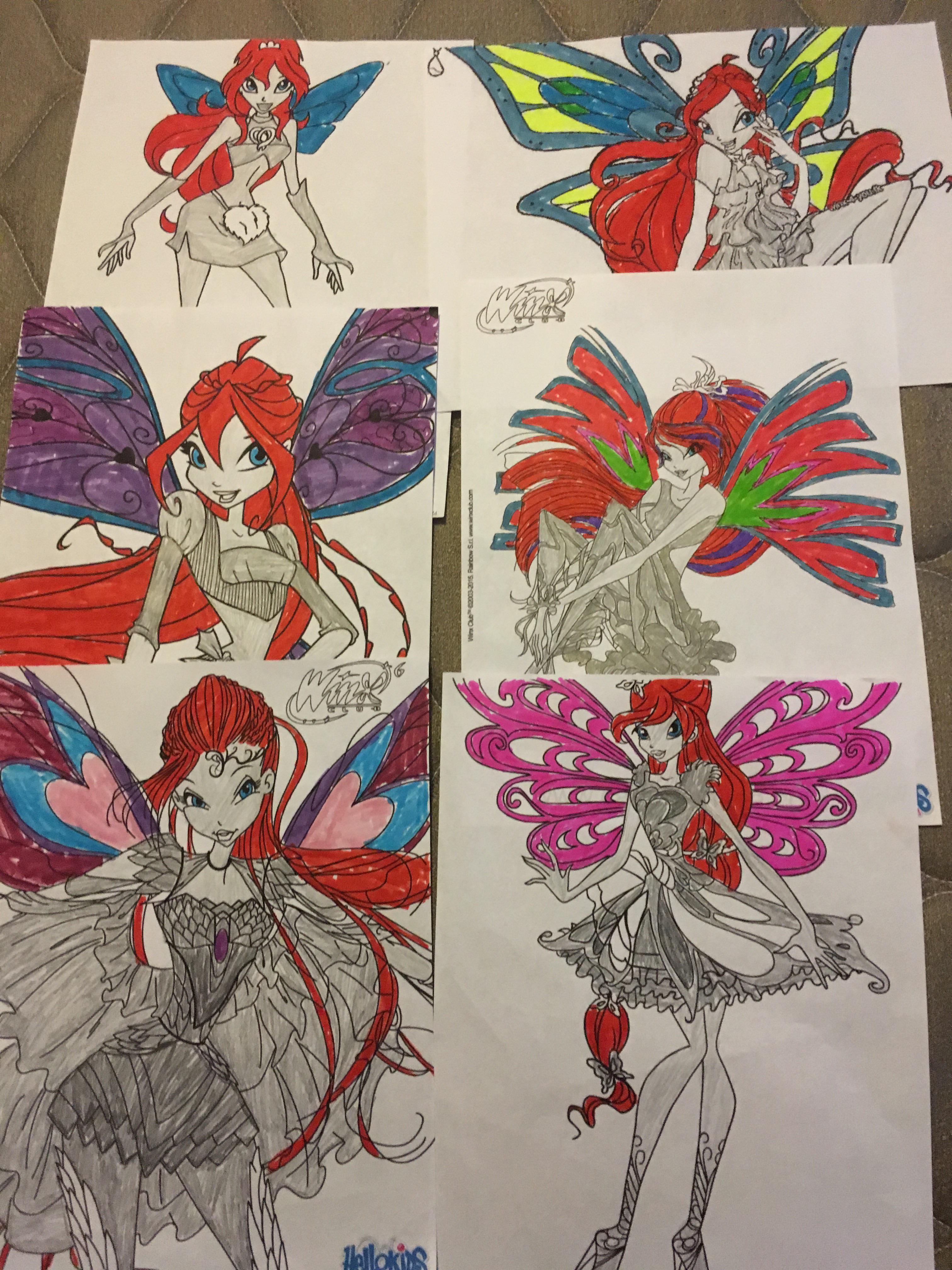 Bloom’s main transformations. | Scrolller