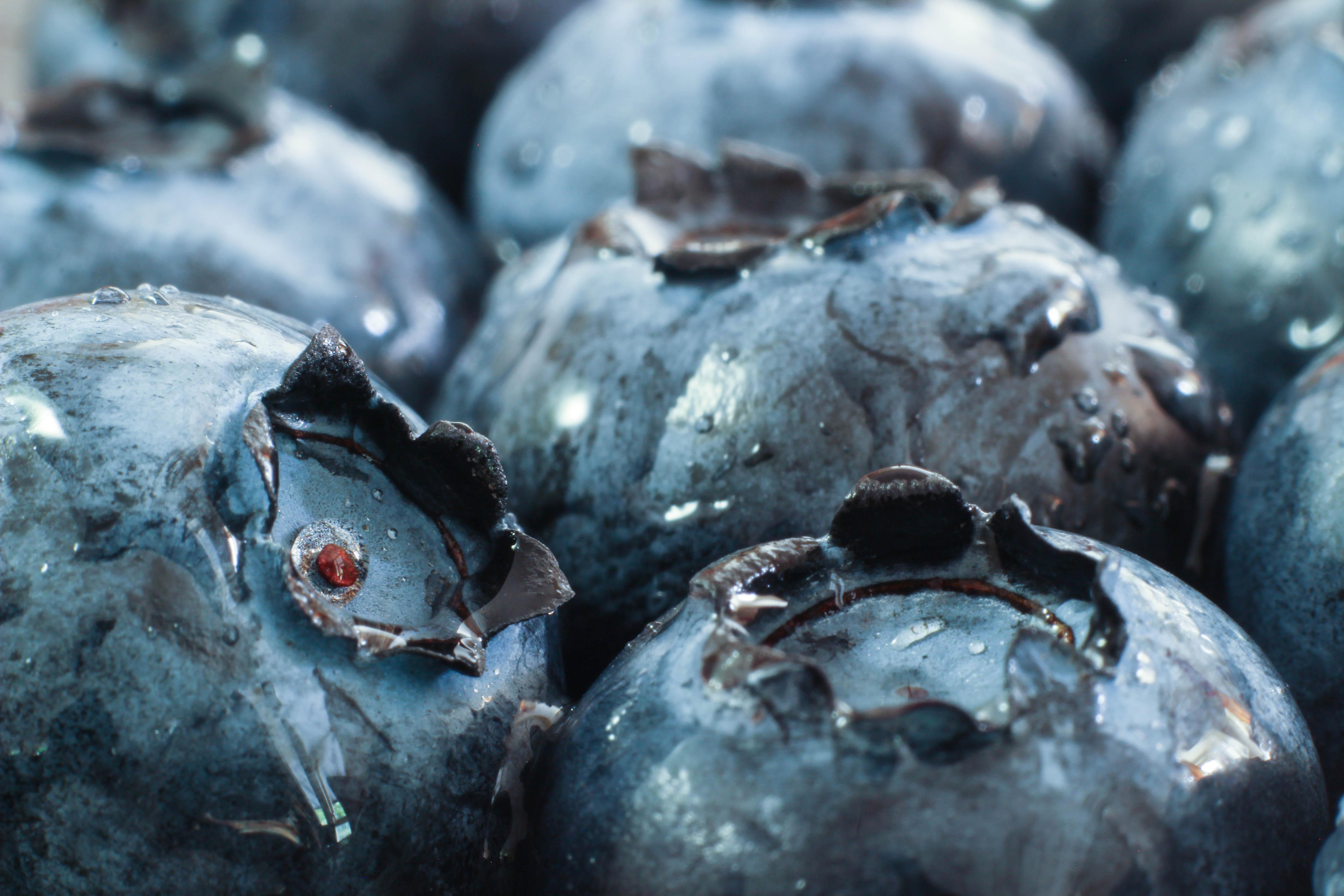 Blueberries | Scrolller