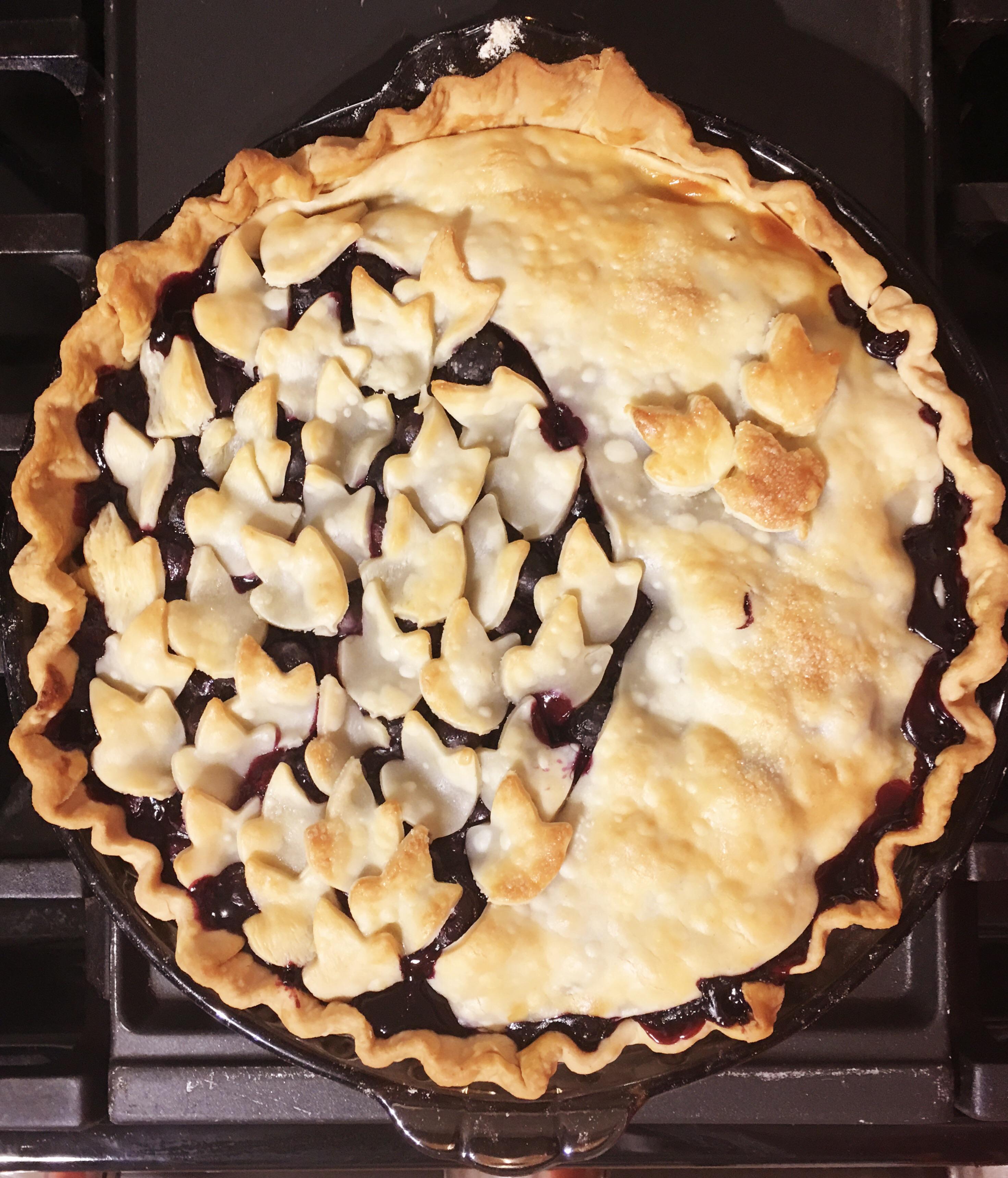 Blueberry Pie | Scrolller