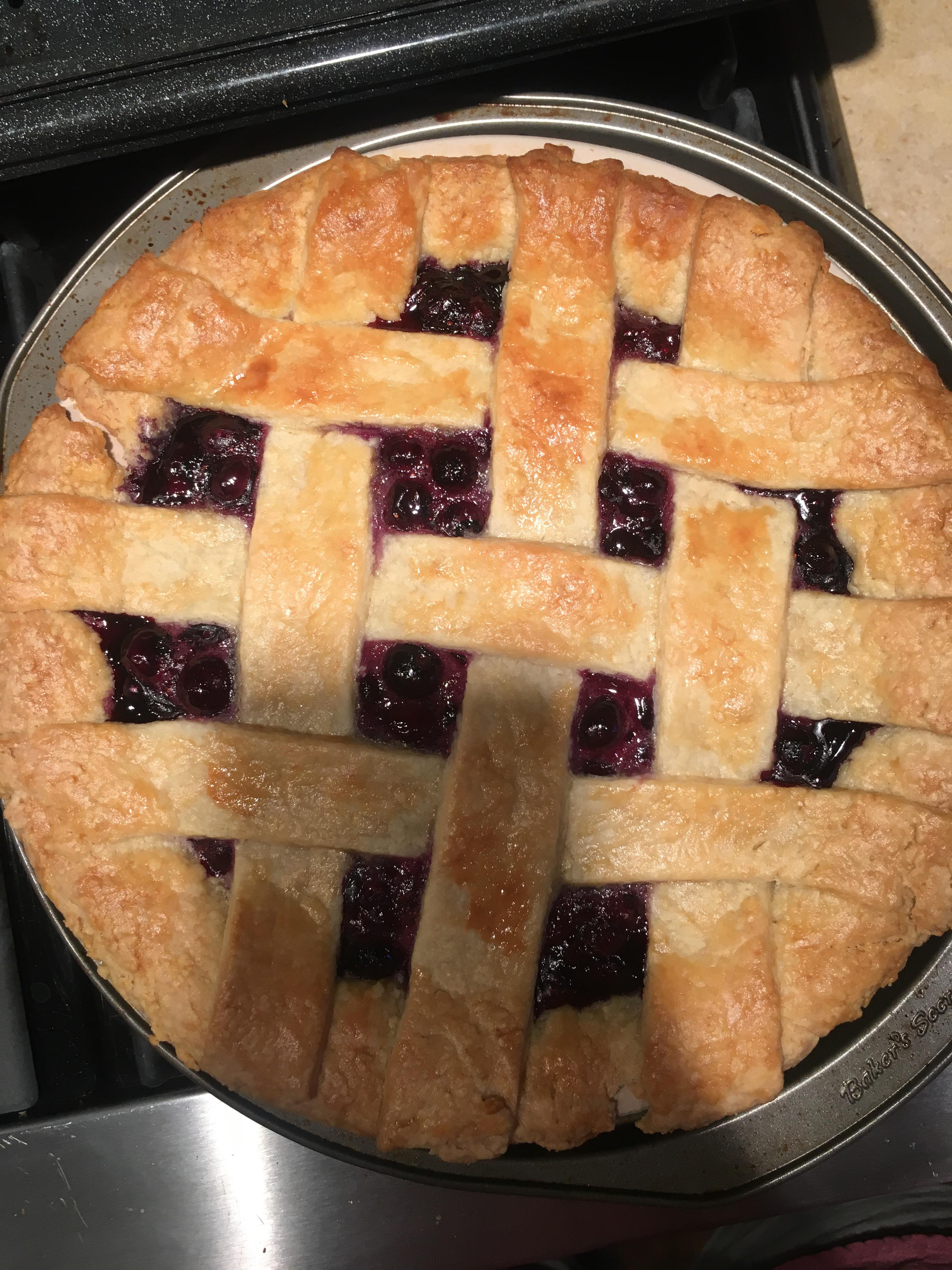 Blueberry Pie | Scrolller