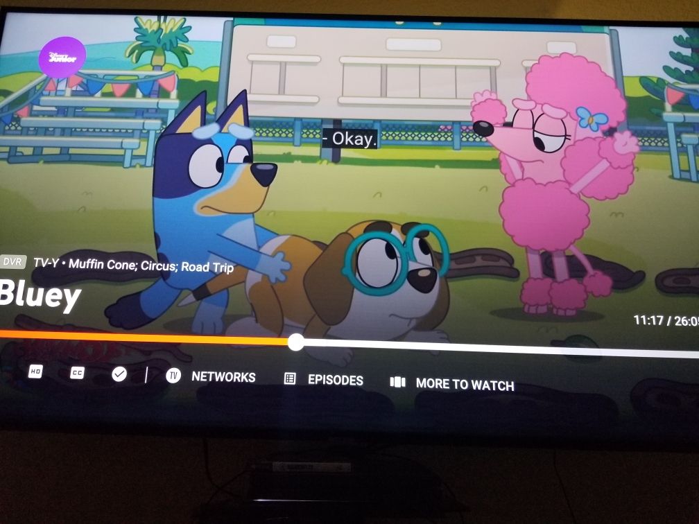 Bluey puttin' in work for an unimpressed, yet cheering crowd | Scrolller