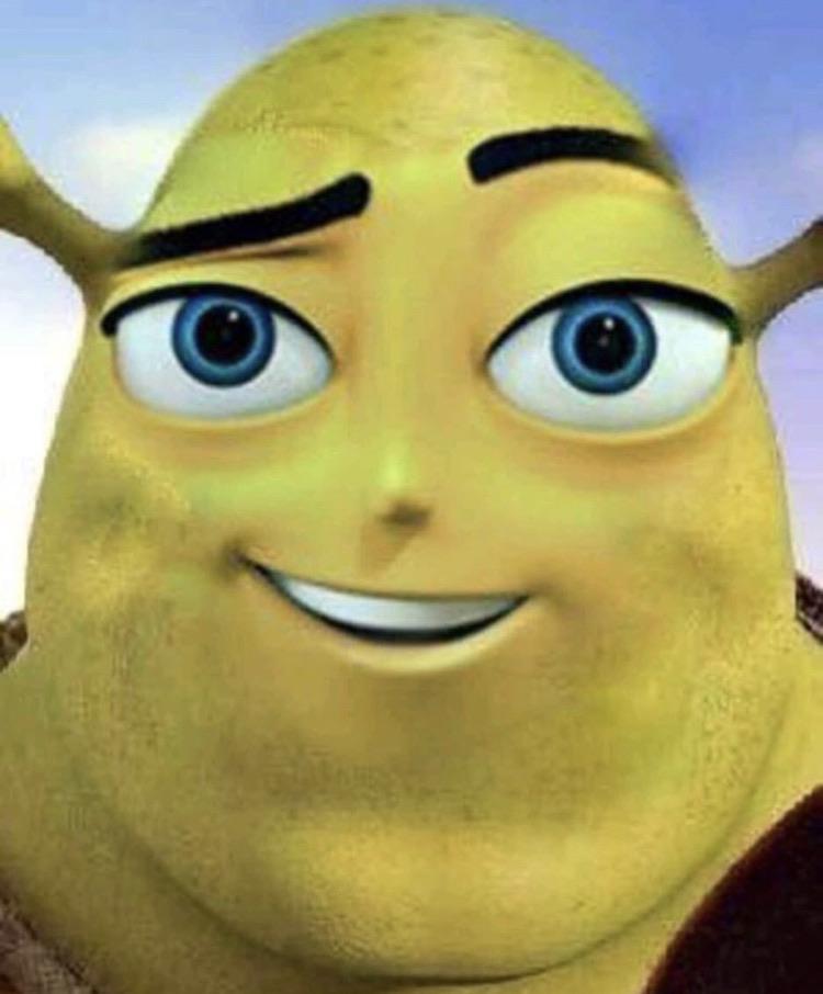 Blursed Bee Movie | Scrolller