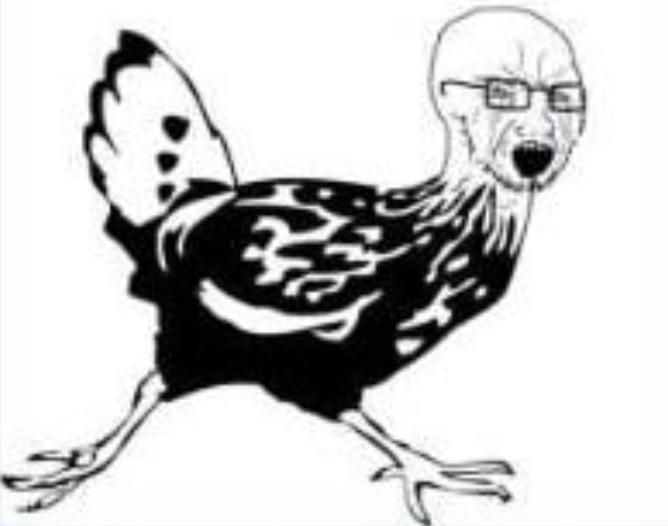 Blursed chicken | Scrolller