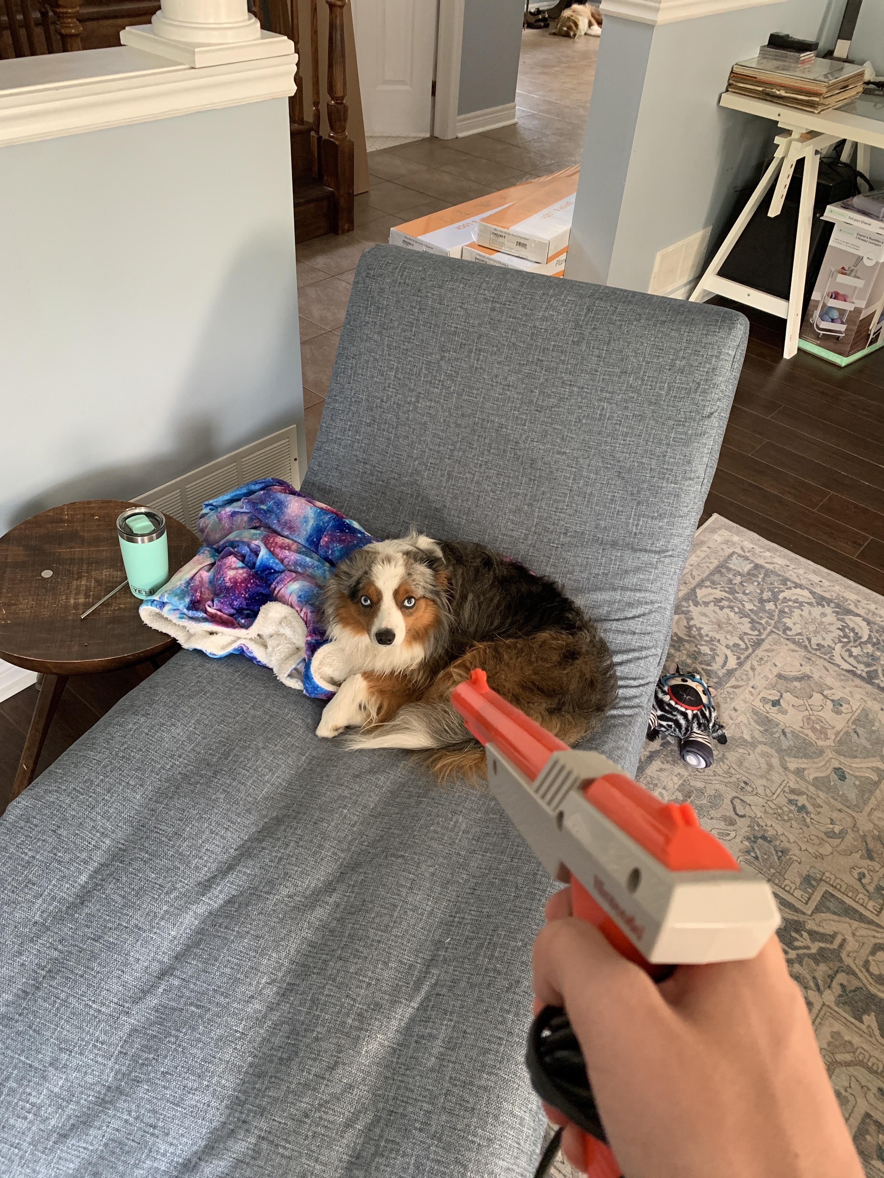 Blursed doge | Scrolller