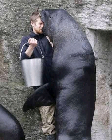 Blursed_feeding time | Scrolller