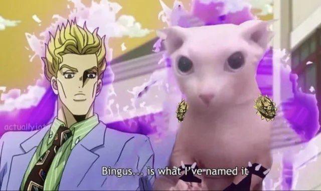 Blursed_jojo | Scrolller
