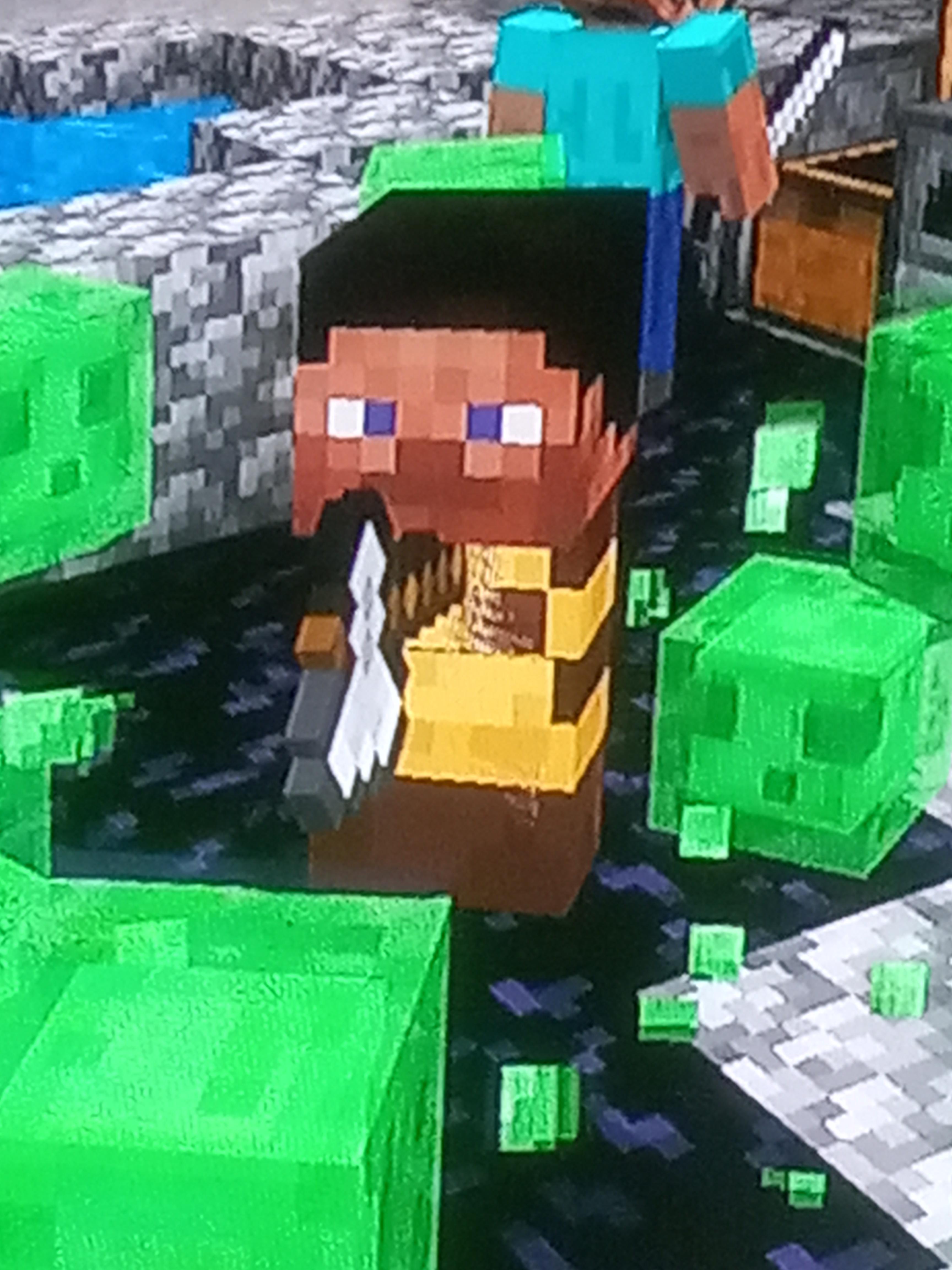 Blursed minecraft | Scrolller