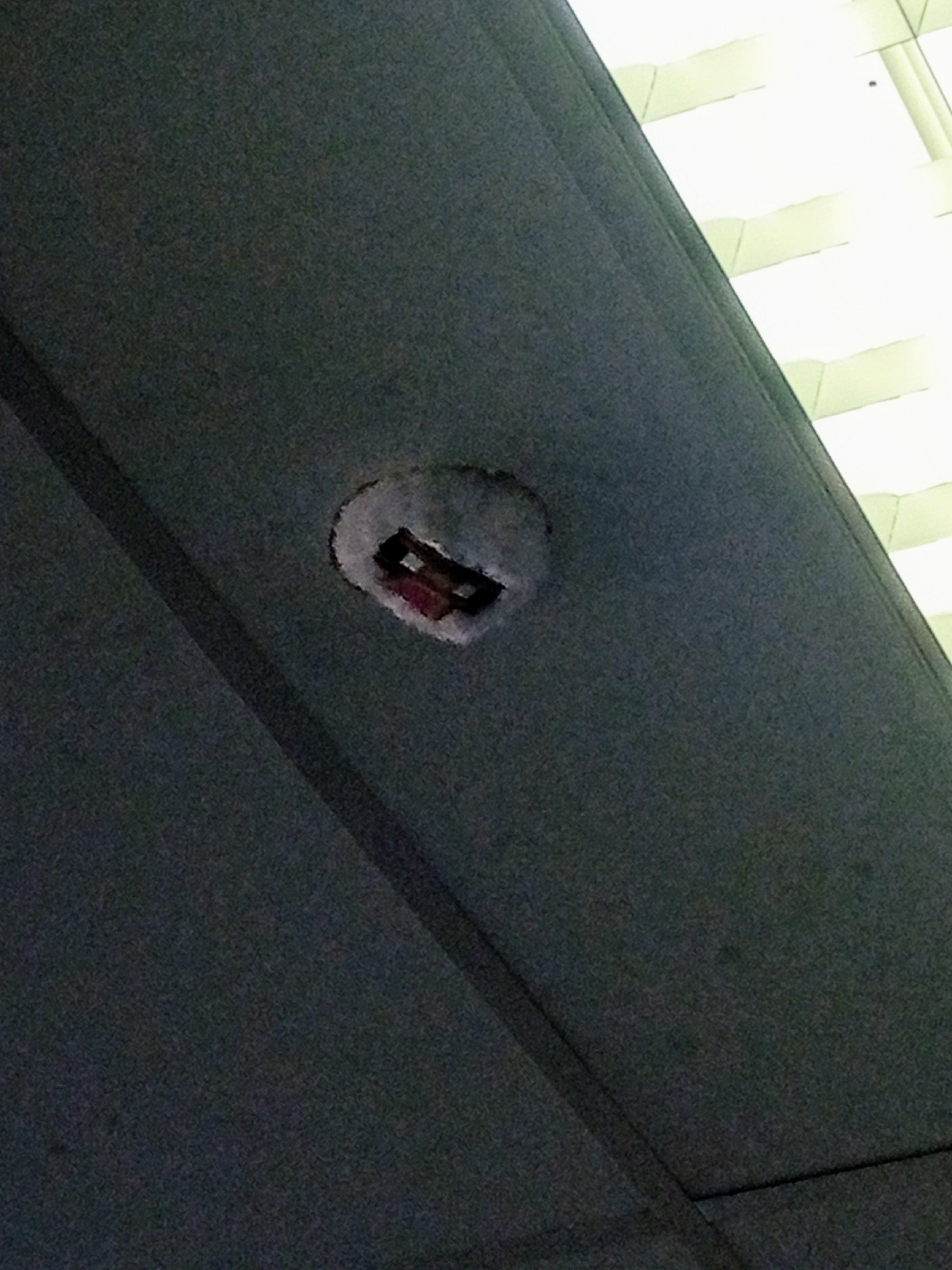 Blursed_sheep | Scrolller