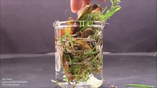 Boiled dirty water under the microscope | Scrolller