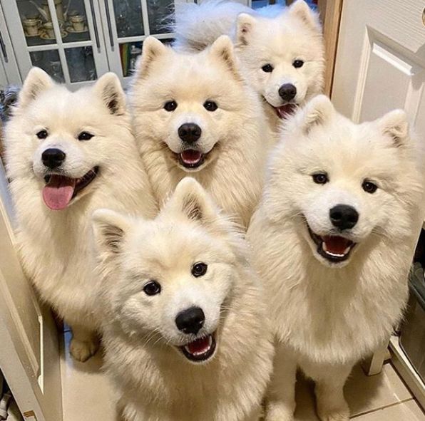 Bonding !!! | Scrolller