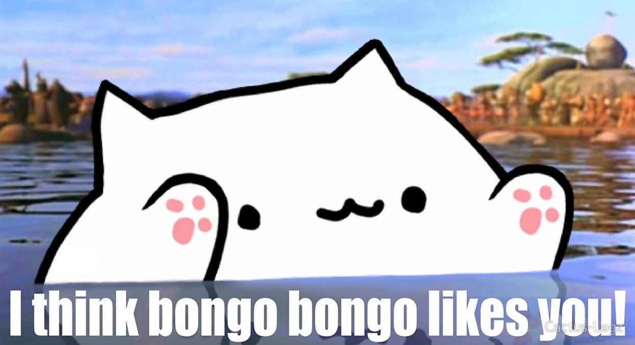 bongo bongo likes you! | Scrolller