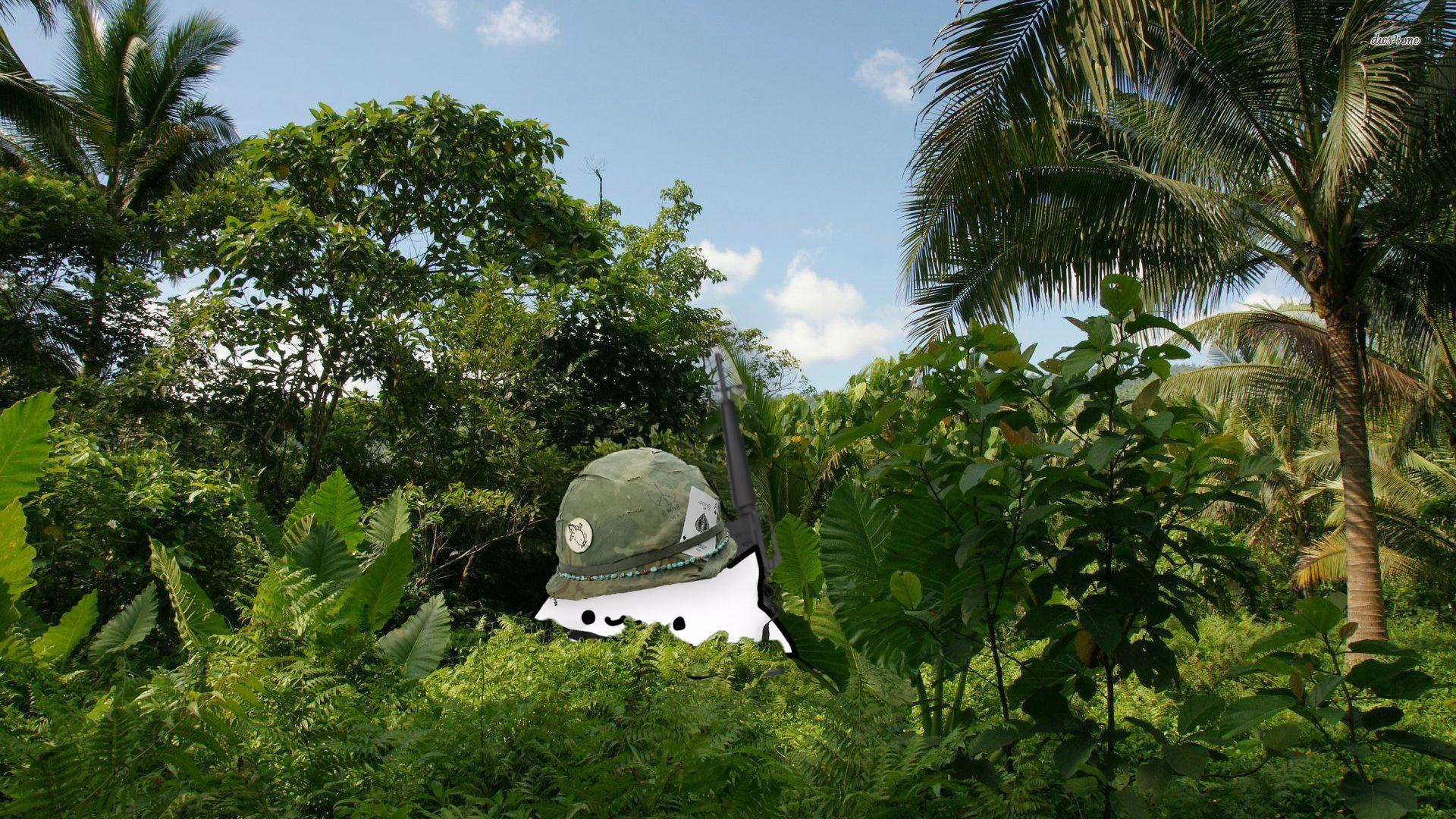 bongo cat says: welcome to the jungle | Scrolller