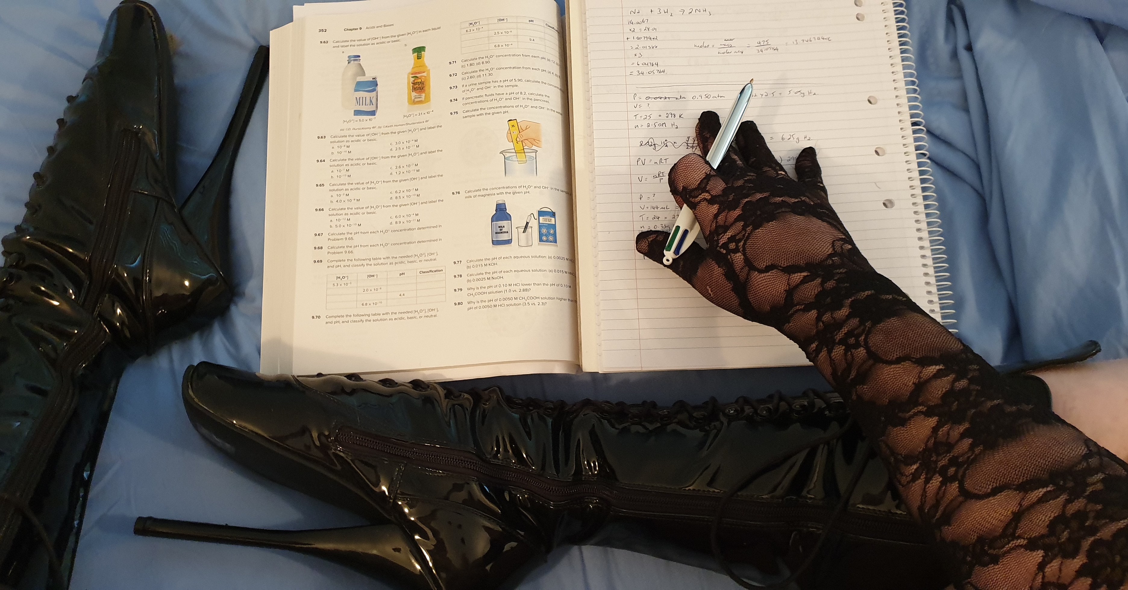 Studying hard | Scrolller