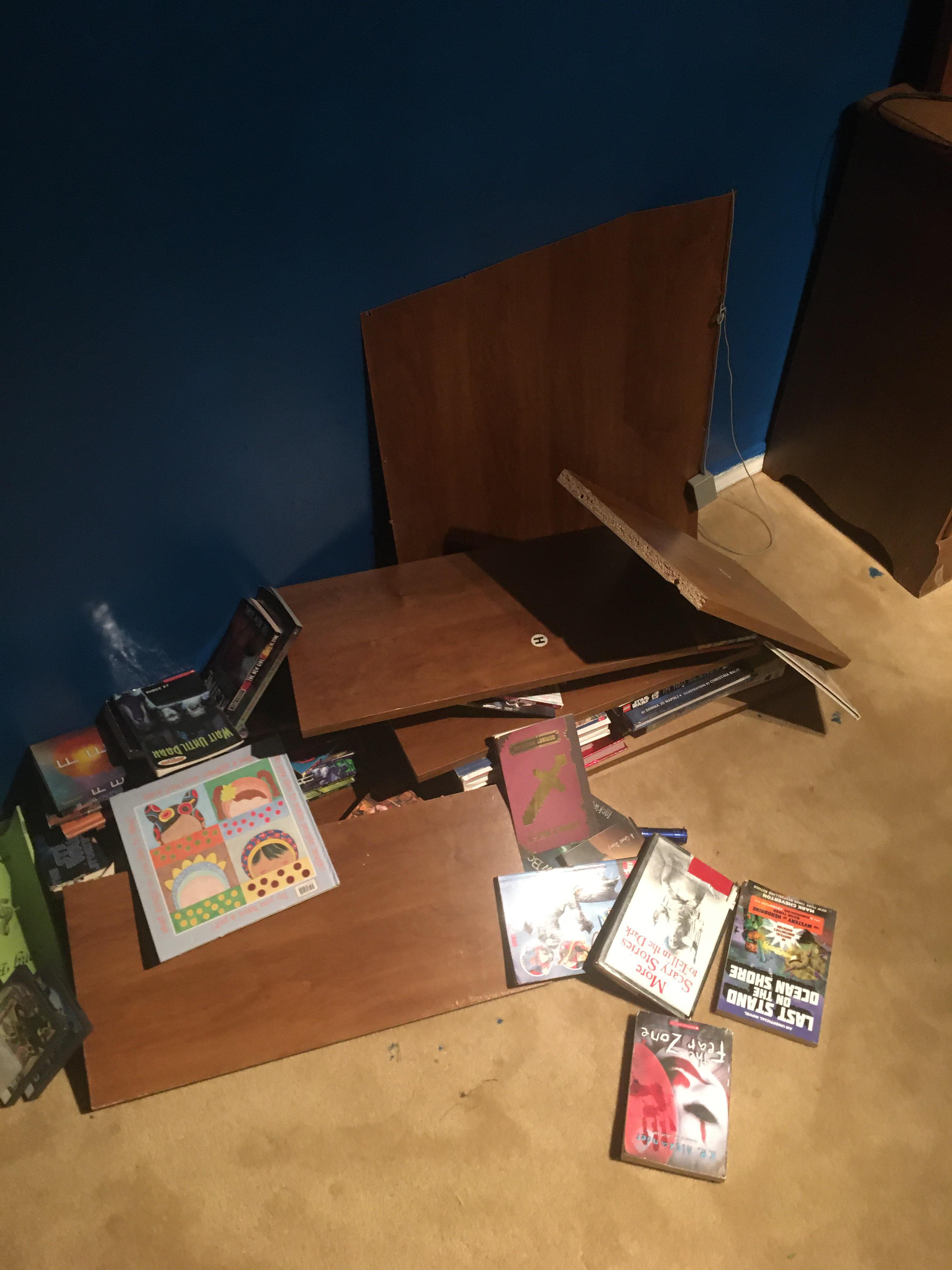 Bookshelf just collapsed | Scrolller