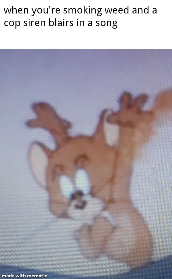 Bootleg Tom and Jerry meme | Scrolller