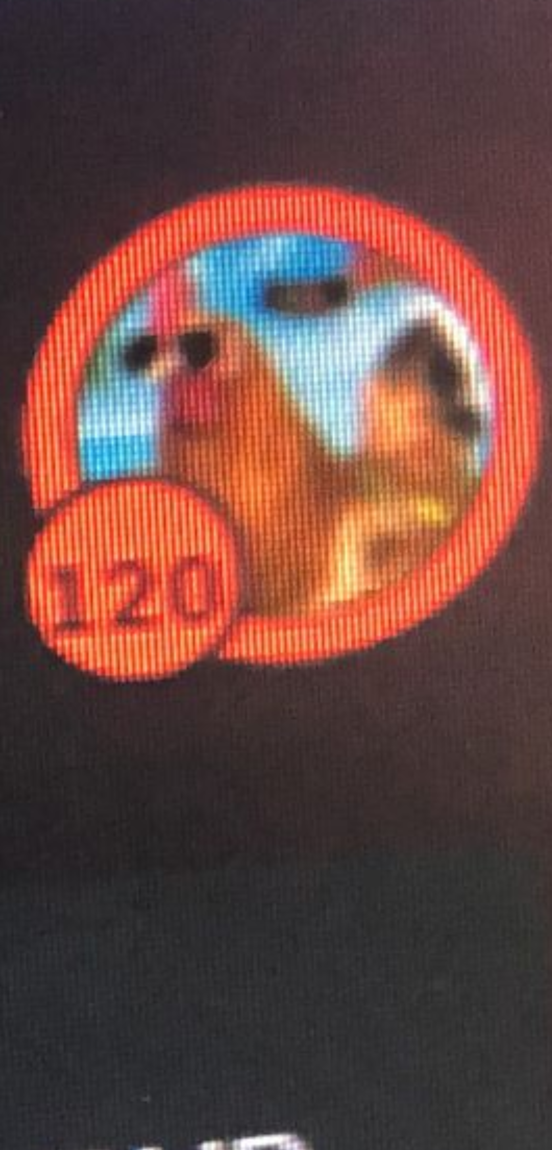 boss rule | Scrolller