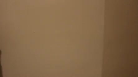 Bouncing Out | Scrolller