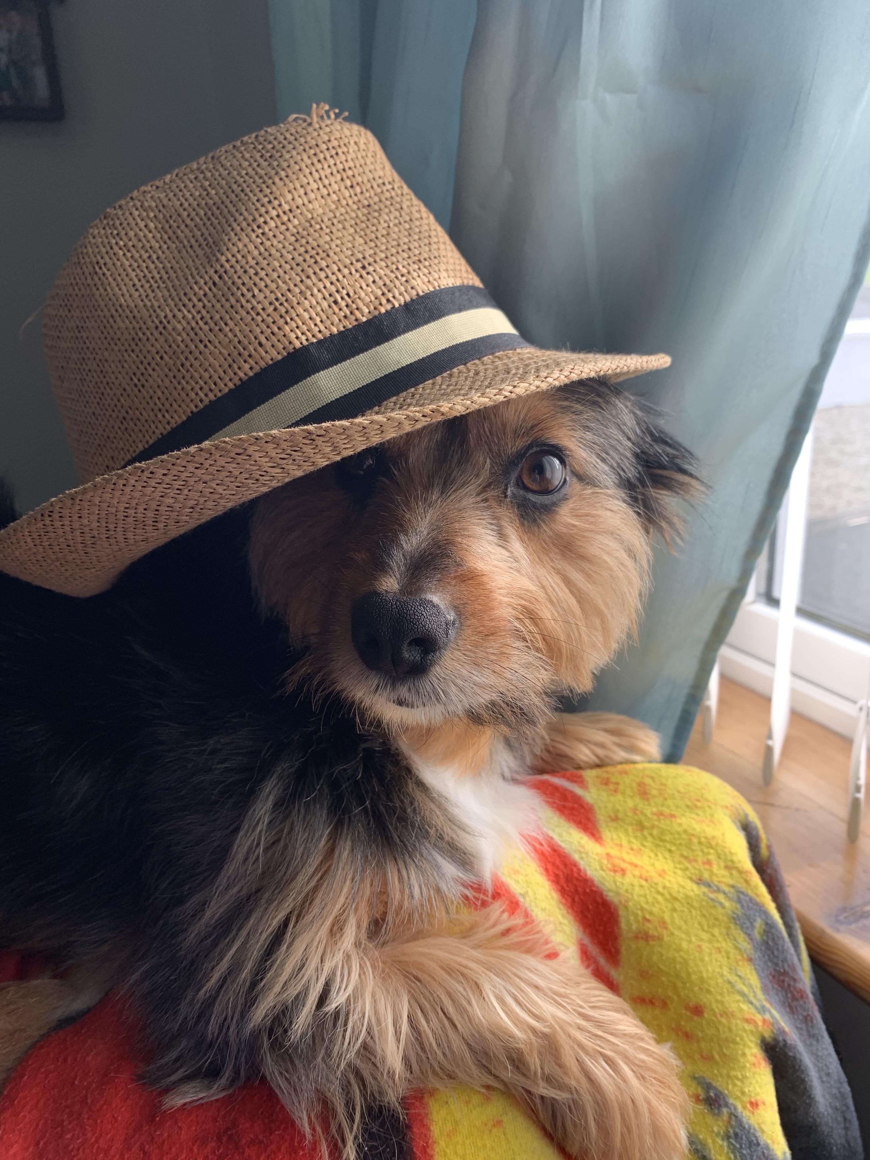 Boy wit da straw hat. | Scrolller