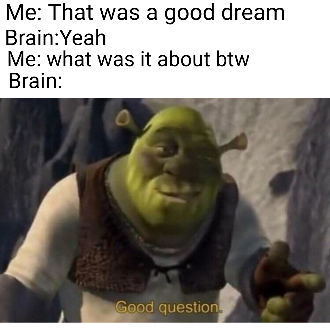 Brain be like that | Scrolller