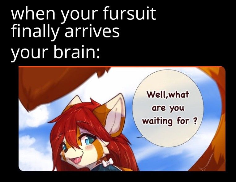 Brain_irl | Scrolller