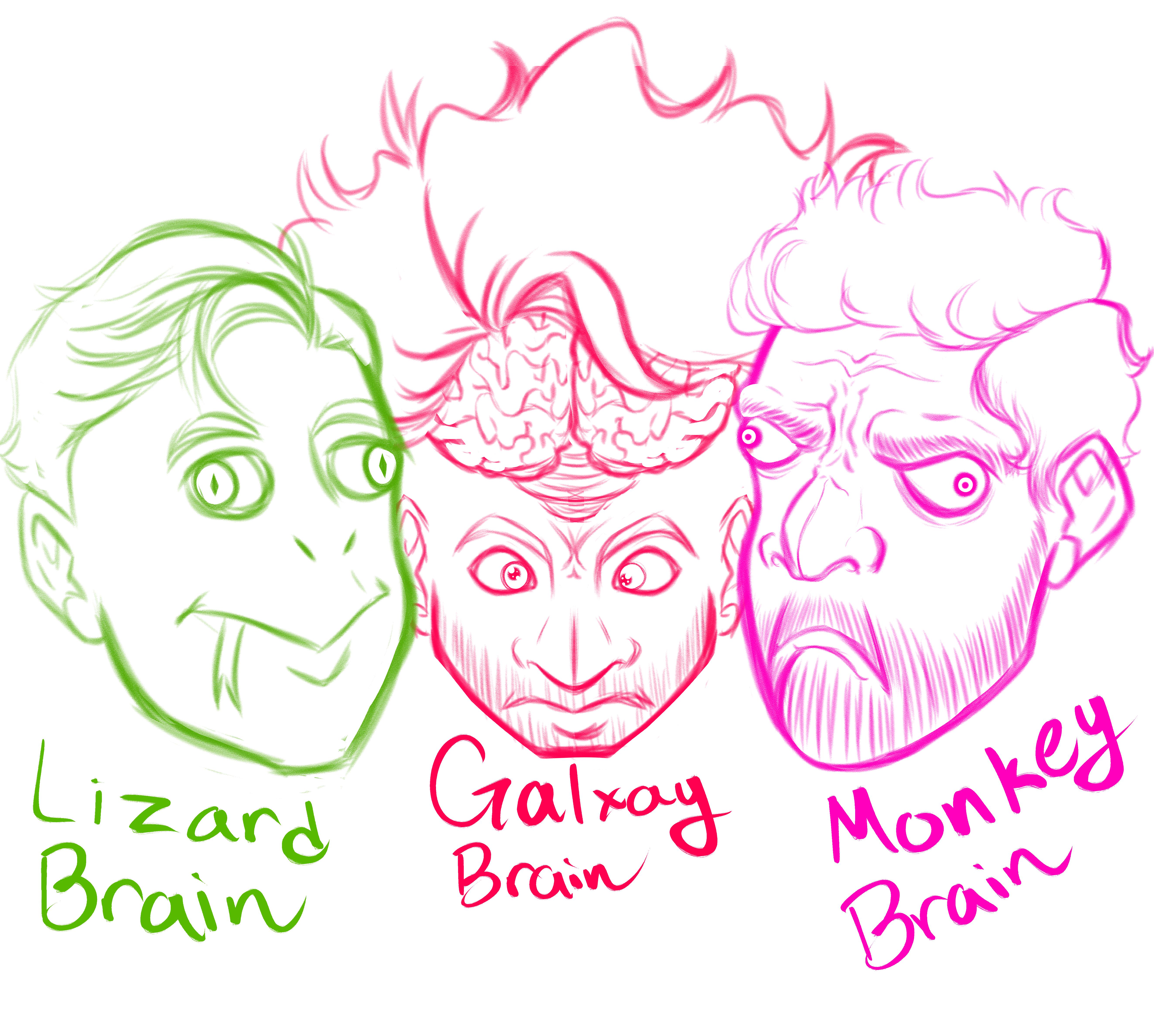 Brain Types: A Major Scientific Breakthrough | Scrolller