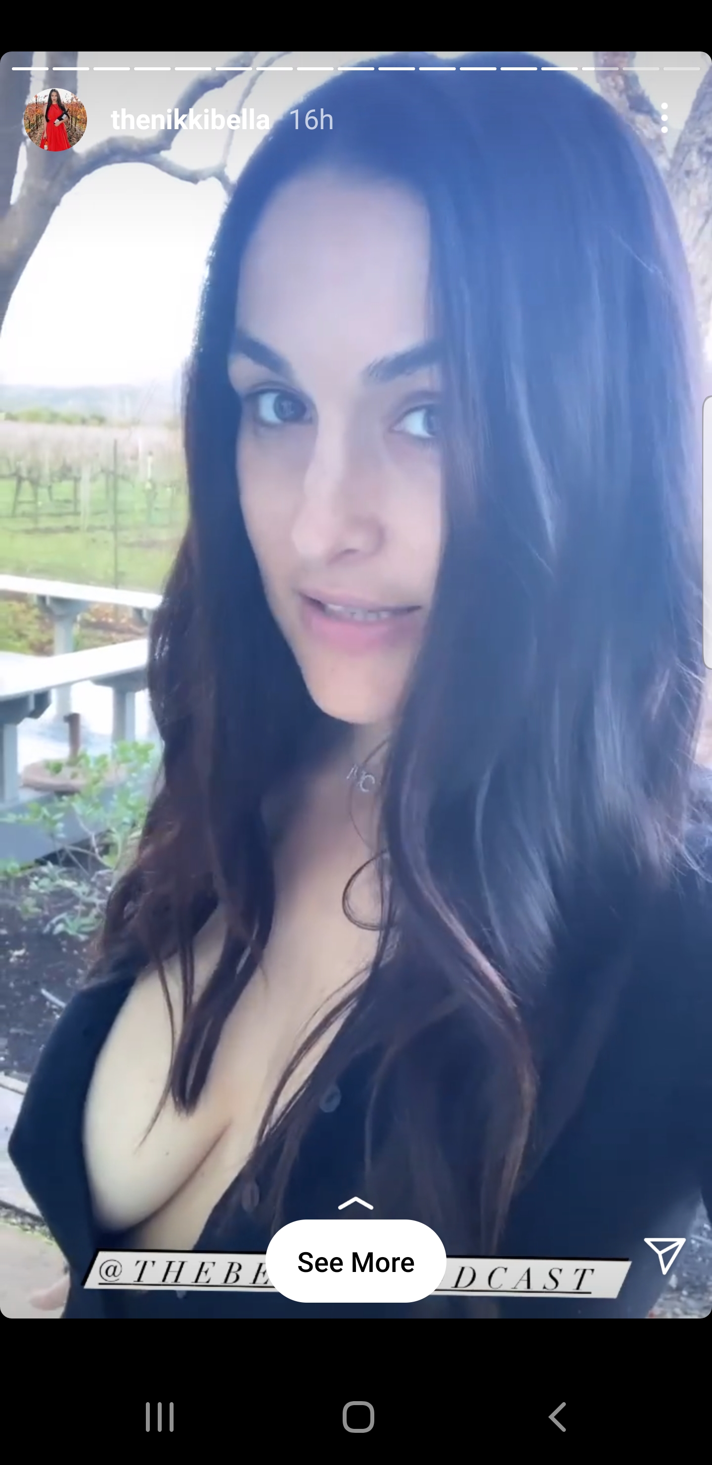 Braless and pointy Nikki Bella | Scrolller