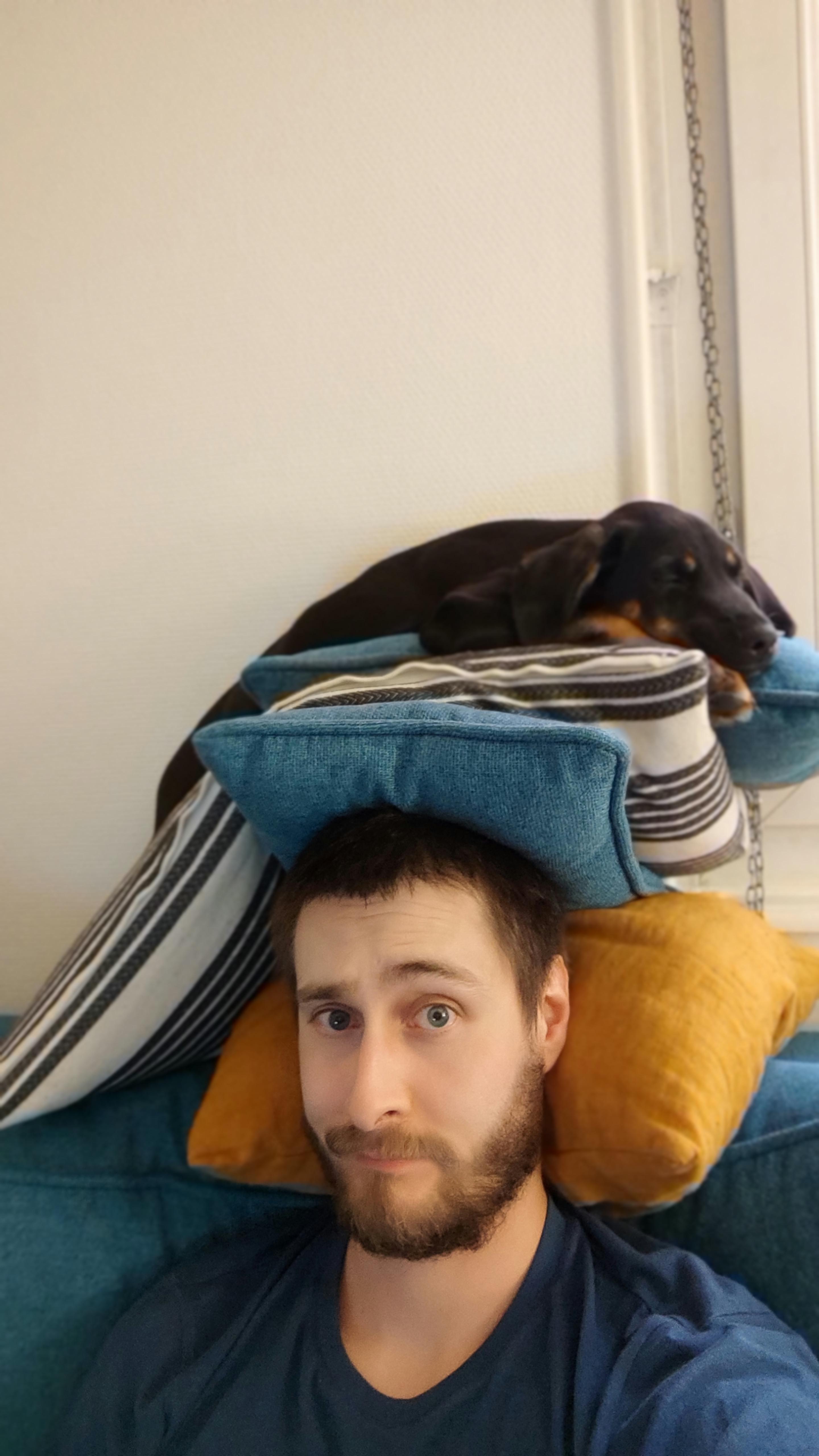 Braska just doesn't care. She could be sleeping on a shark's back, she wouldn't notice. | Scrolller