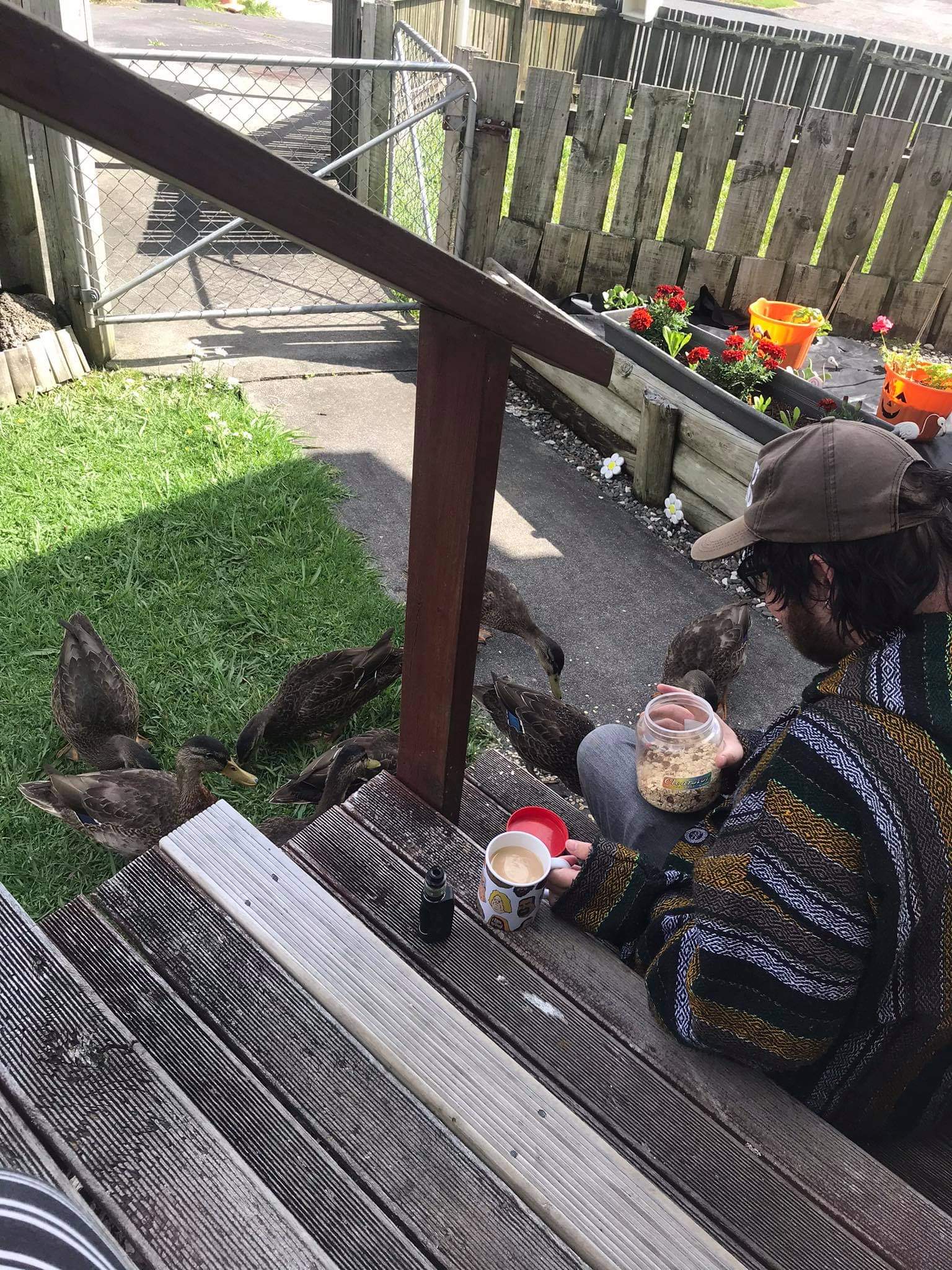 Breakfast | Scrolller