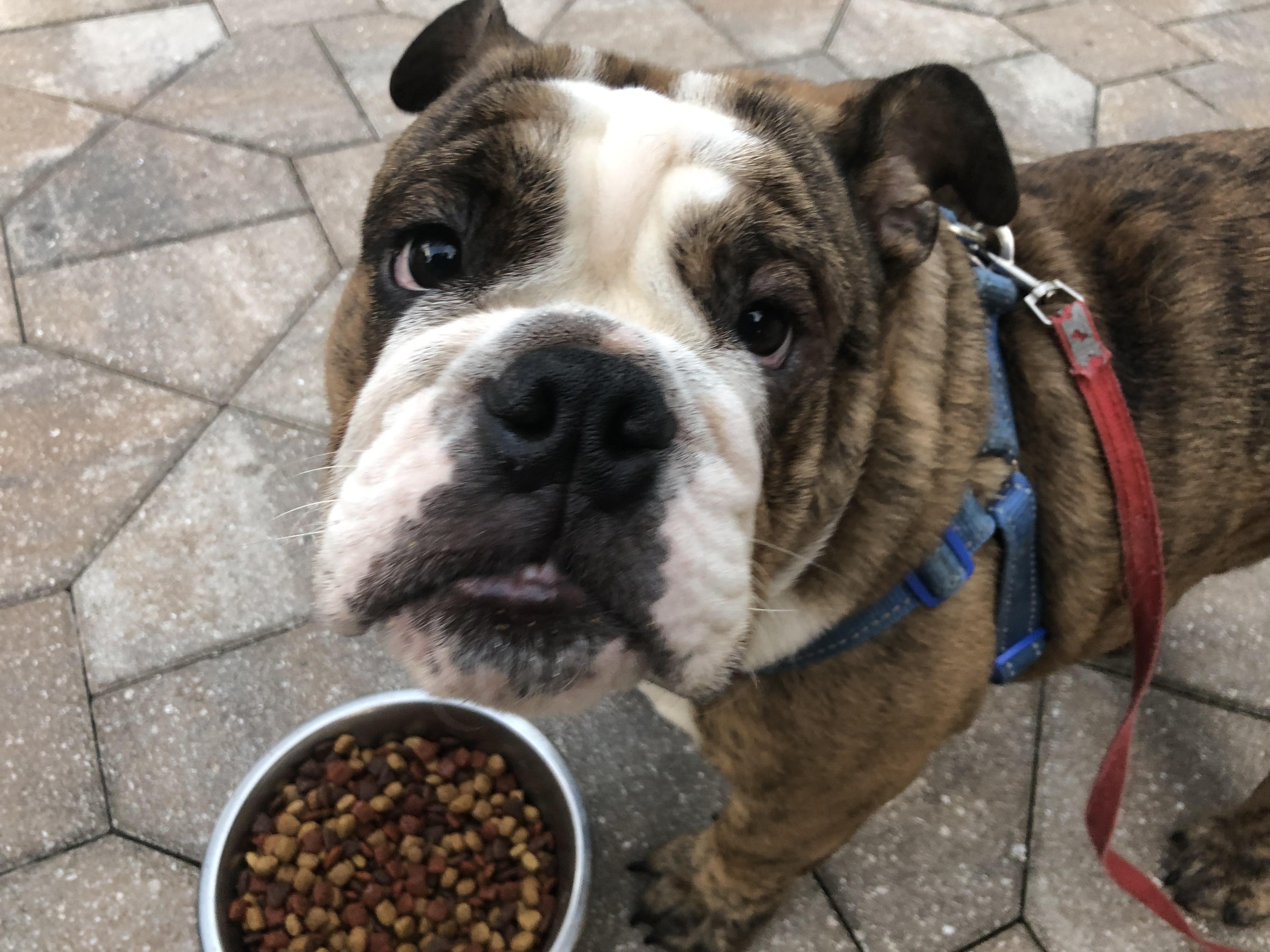 Breakfast is served ! | Scrolller