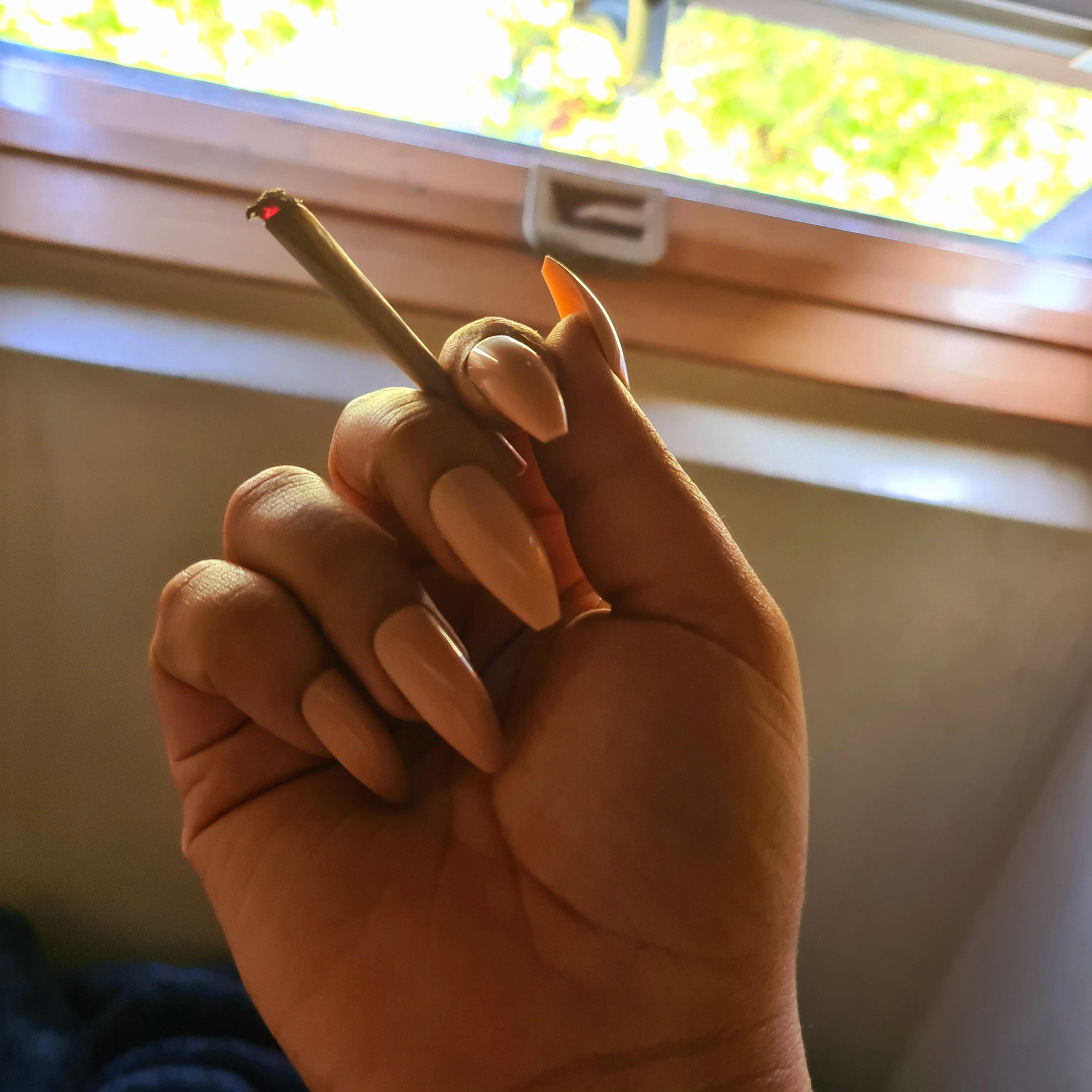 Breaking the rules never looked so elegant | Scrolller