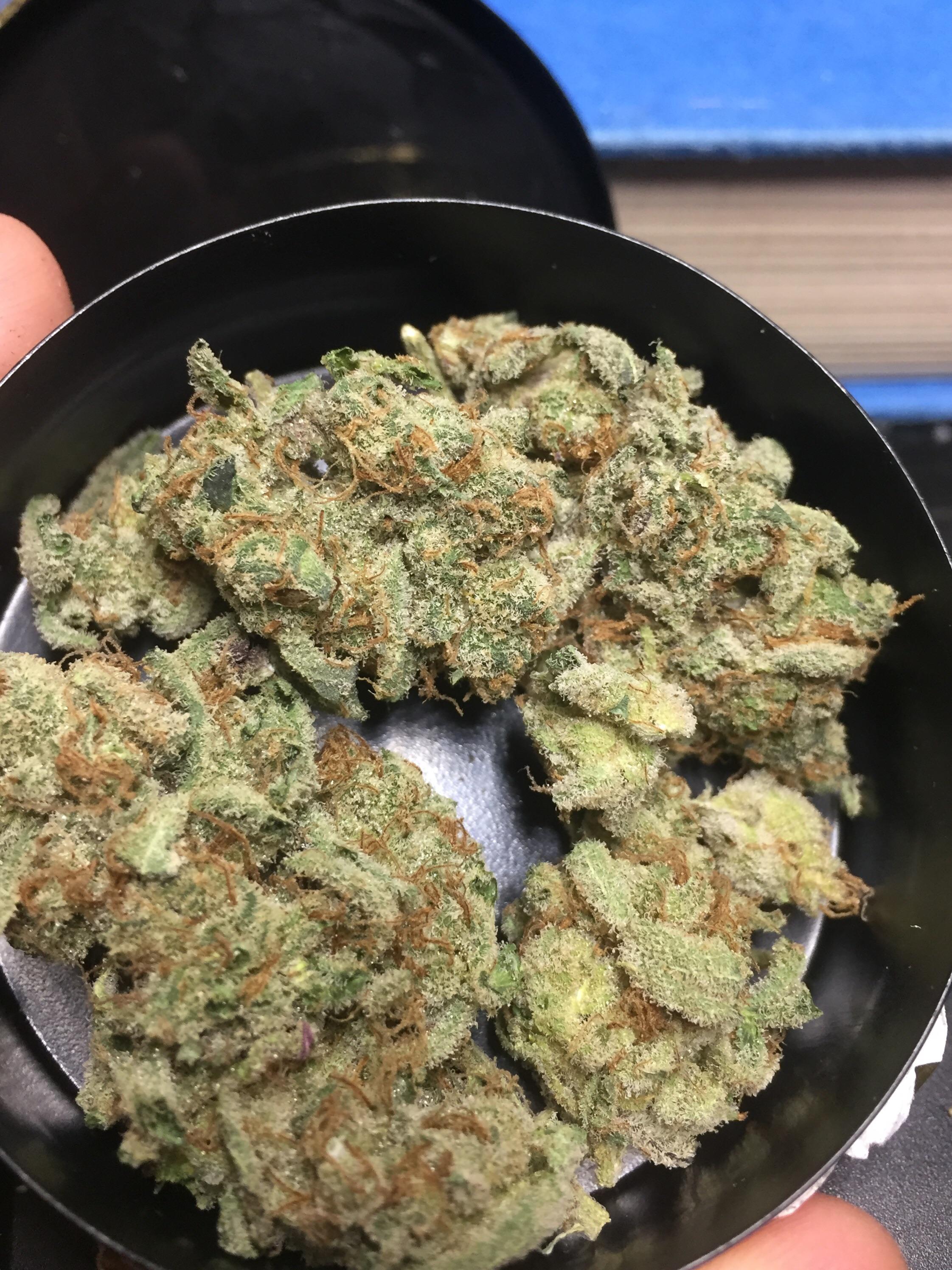 breath mints🥶 | Scrolller