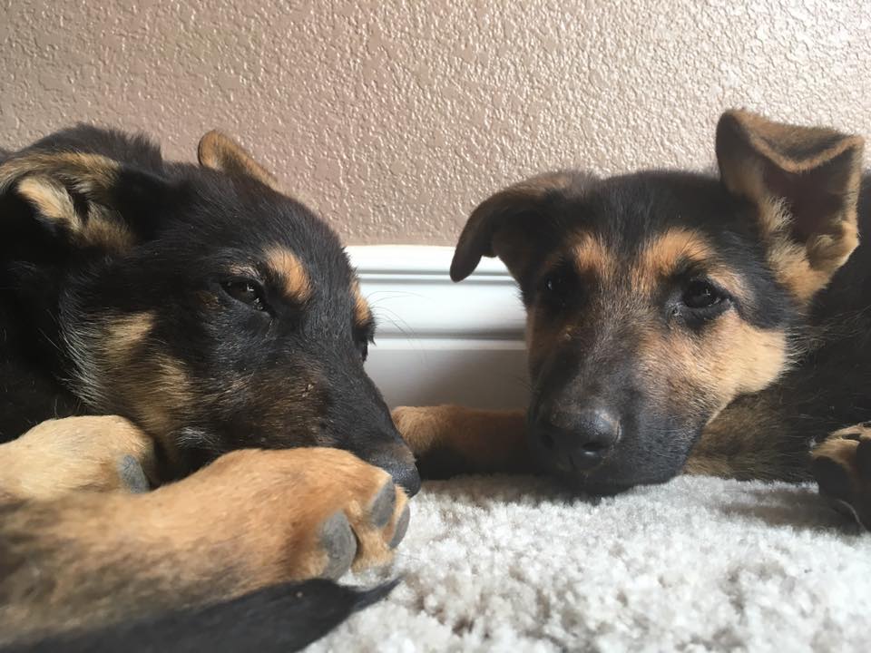 Brother & Sister | Scrolller