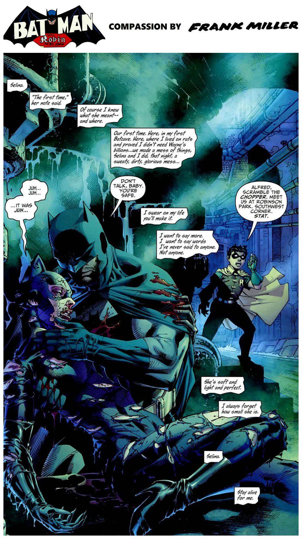 Bruce and Selina from All Star Batman and Robin by Frank Miller. Art by Jim Lee. One of the two ...