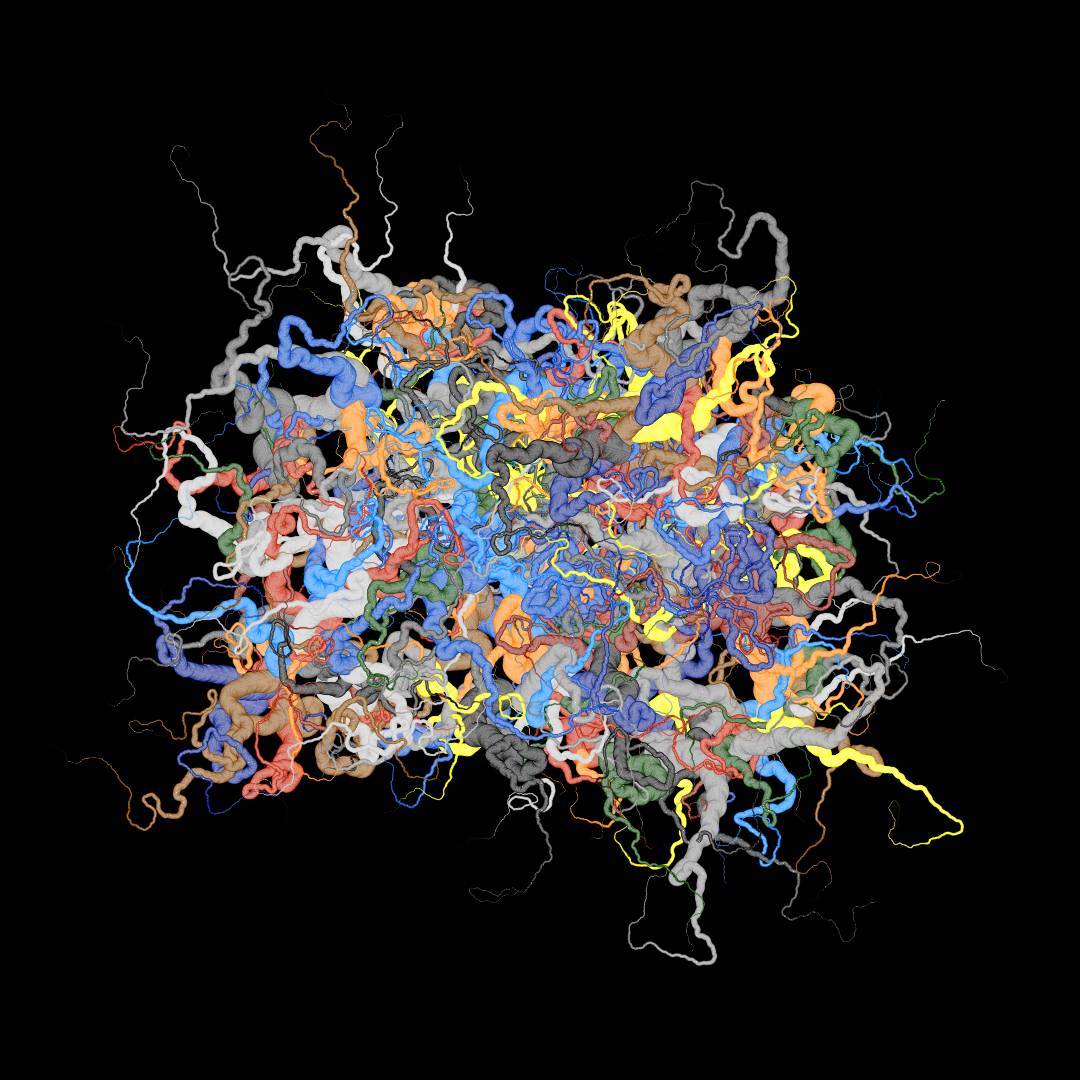 Brush study | Scrolller