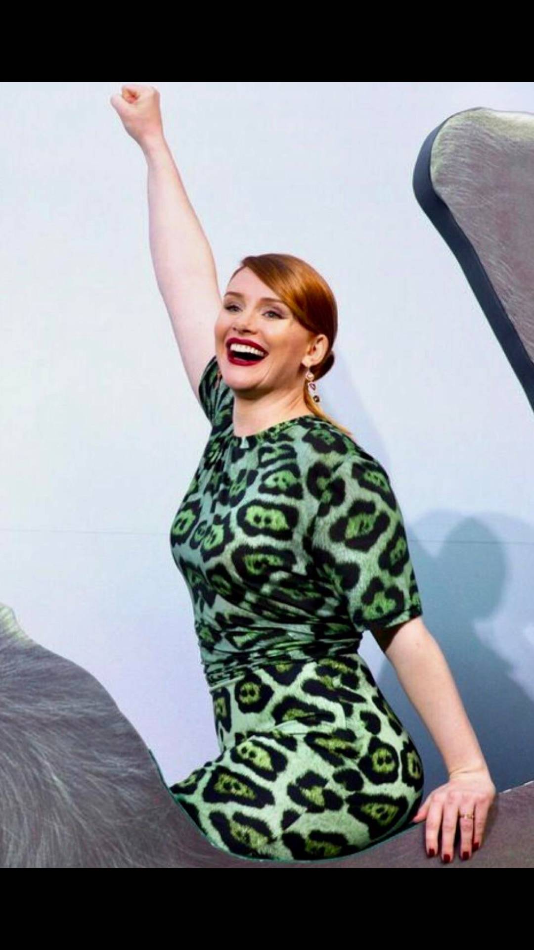 Bryce Dallas Howard Fine Asf | Scrolller