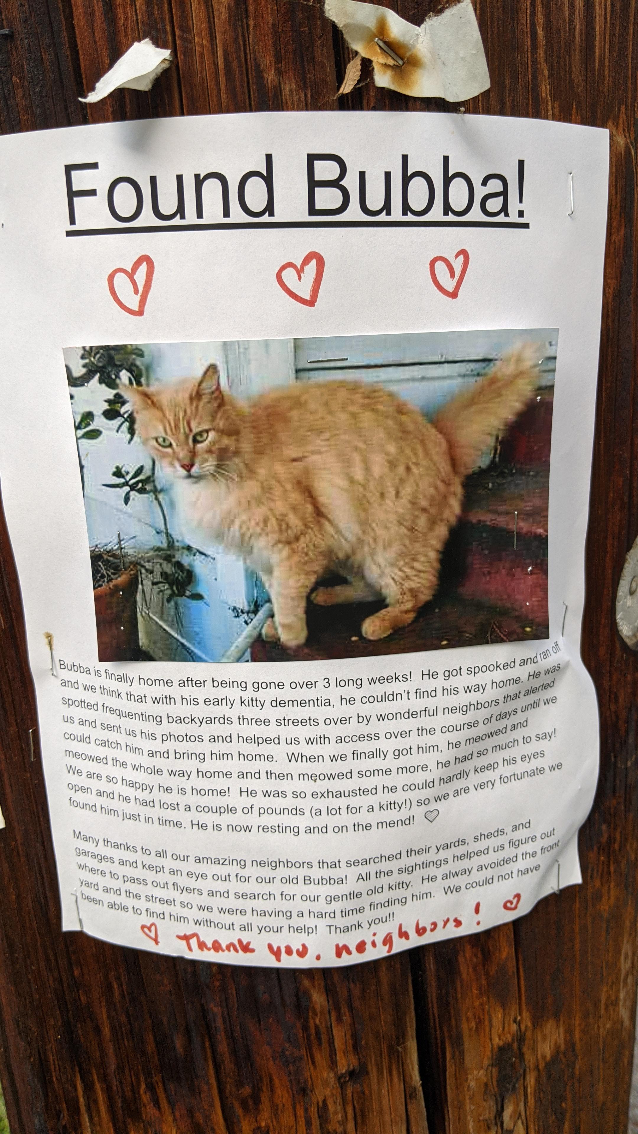 Bubba came home! | Scrolller