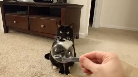 Bubble Taps. | Scrolller