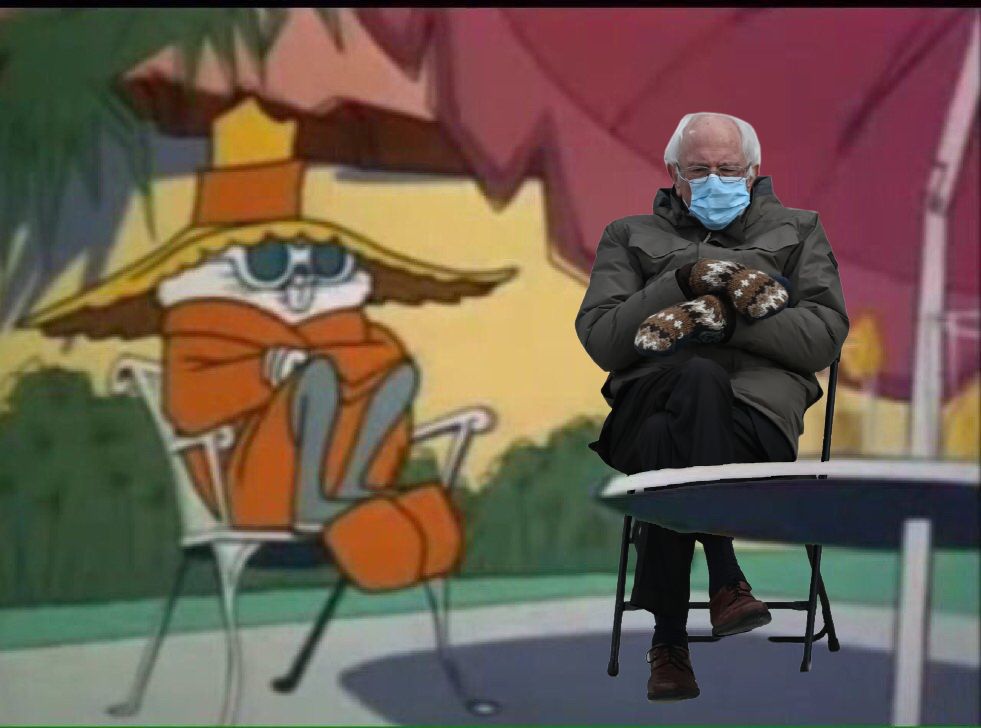 Bugs Bernie | Scrolller