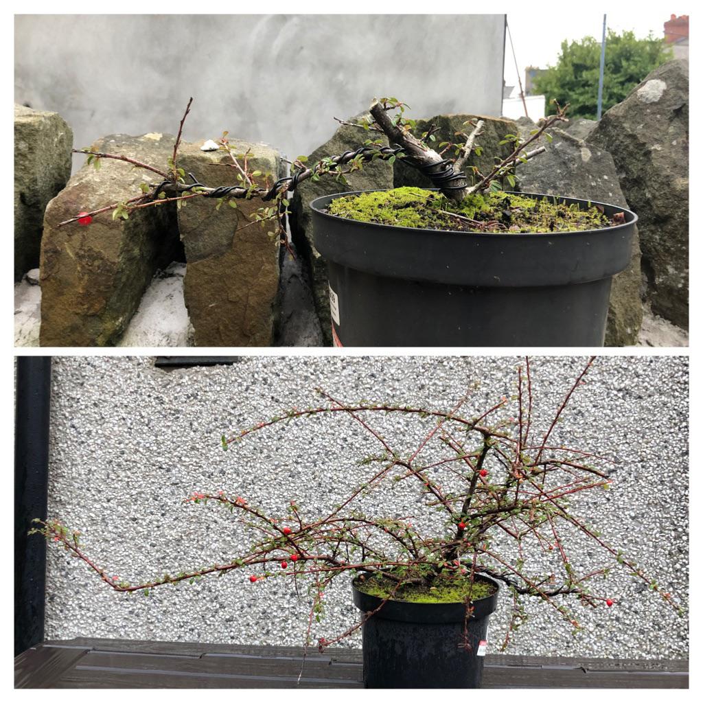 Buh-bye! | Scrolller