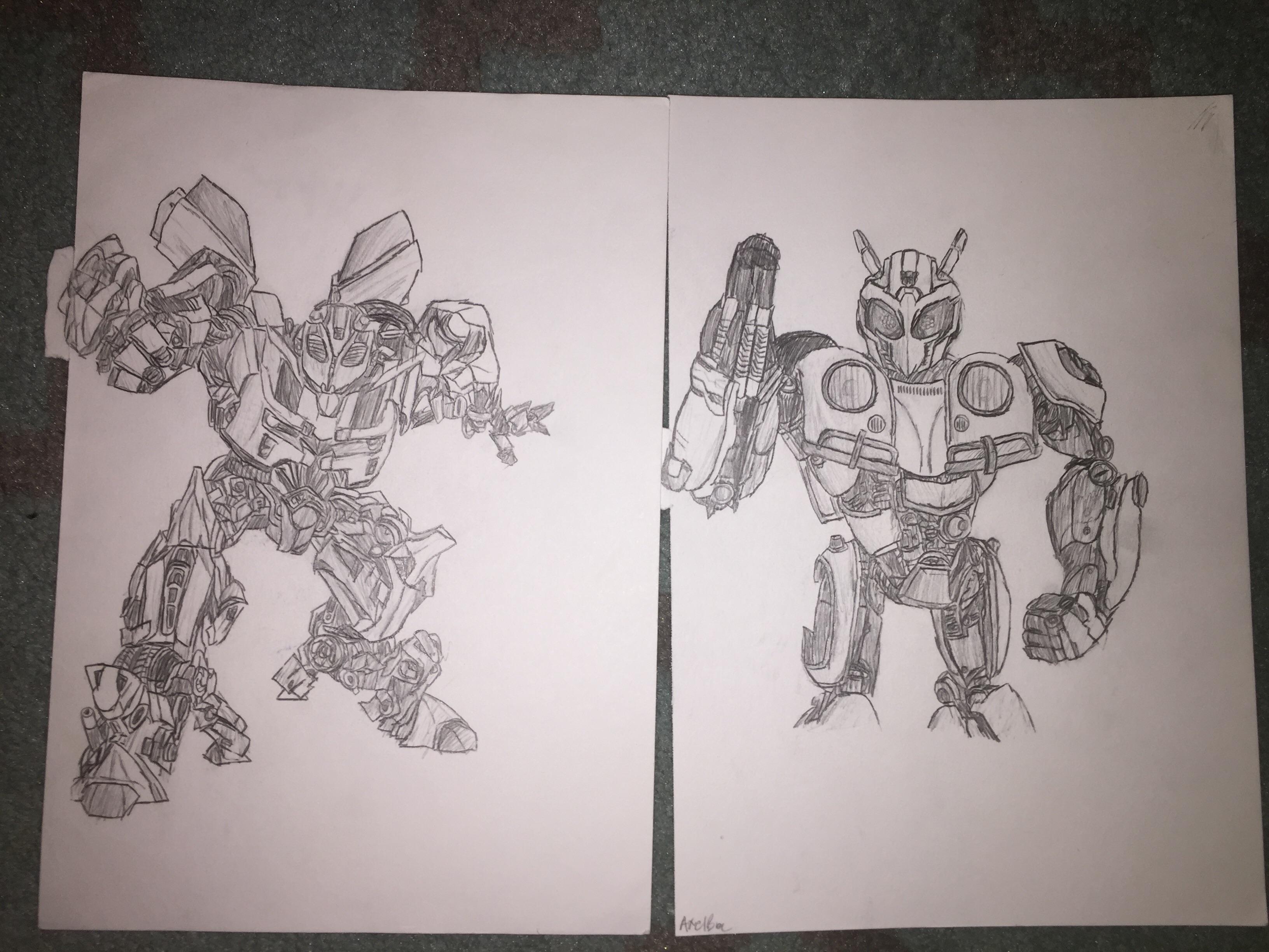 Bumblebee | Scrolller