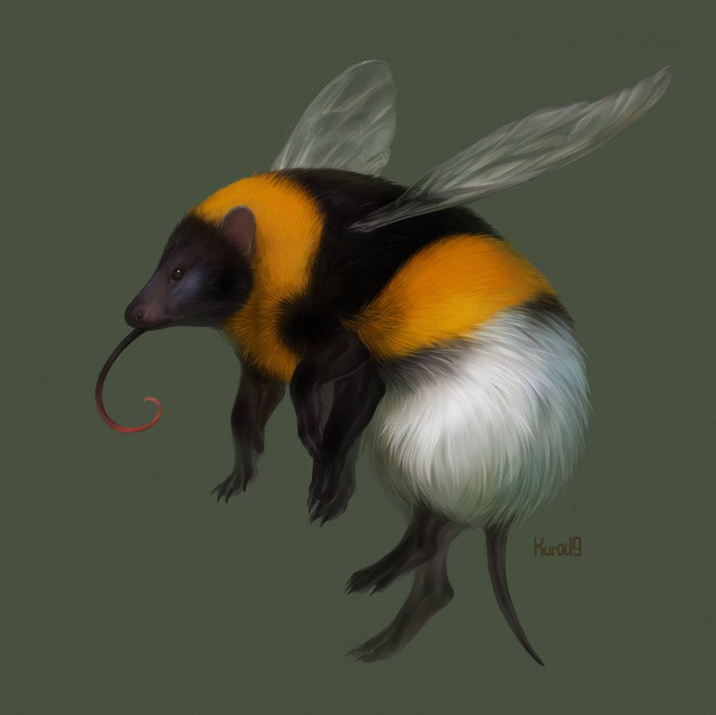 Bumblehog by Kuroi-kisin | Scrolller
