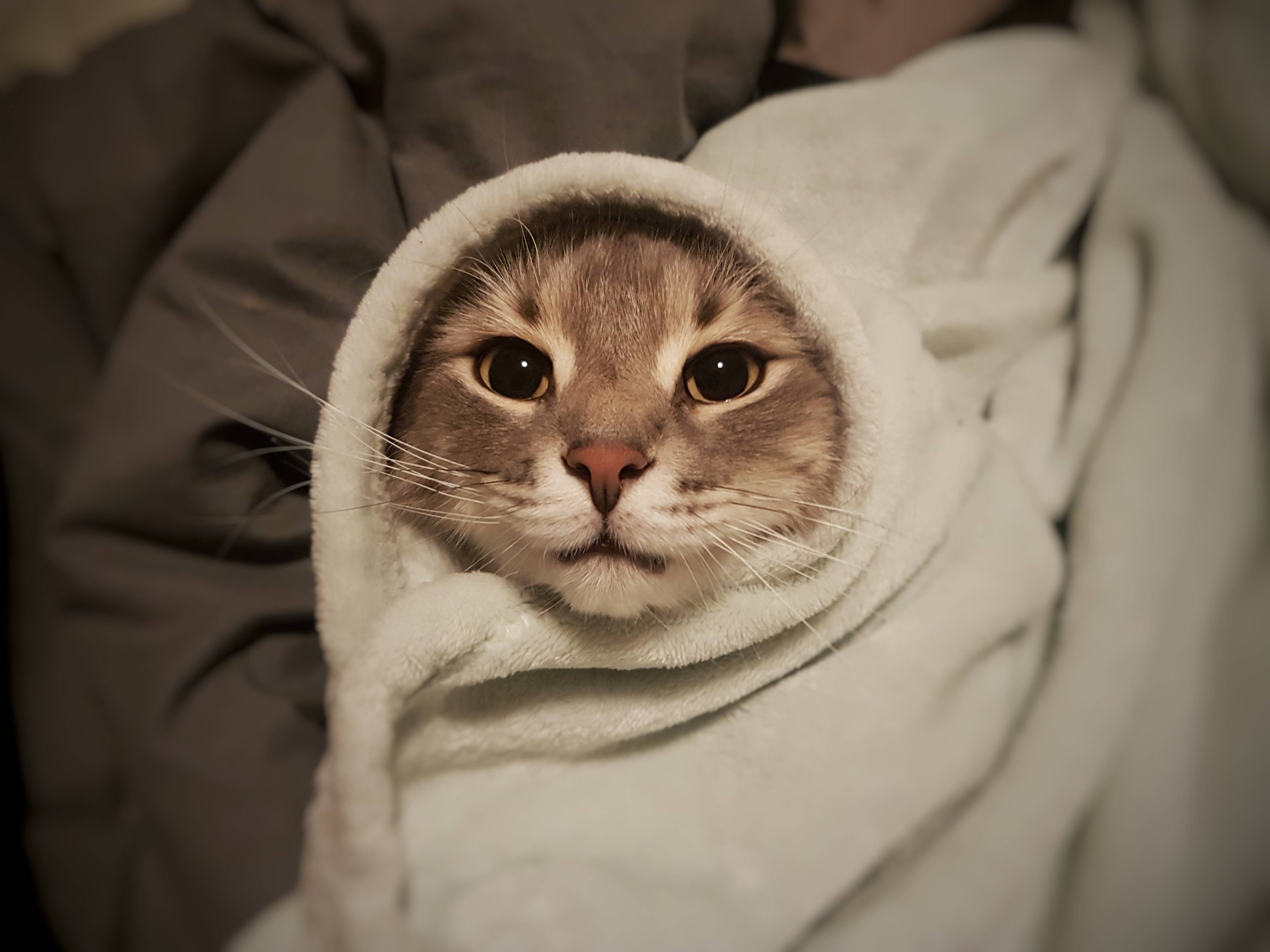 Bundled up | Scrolller