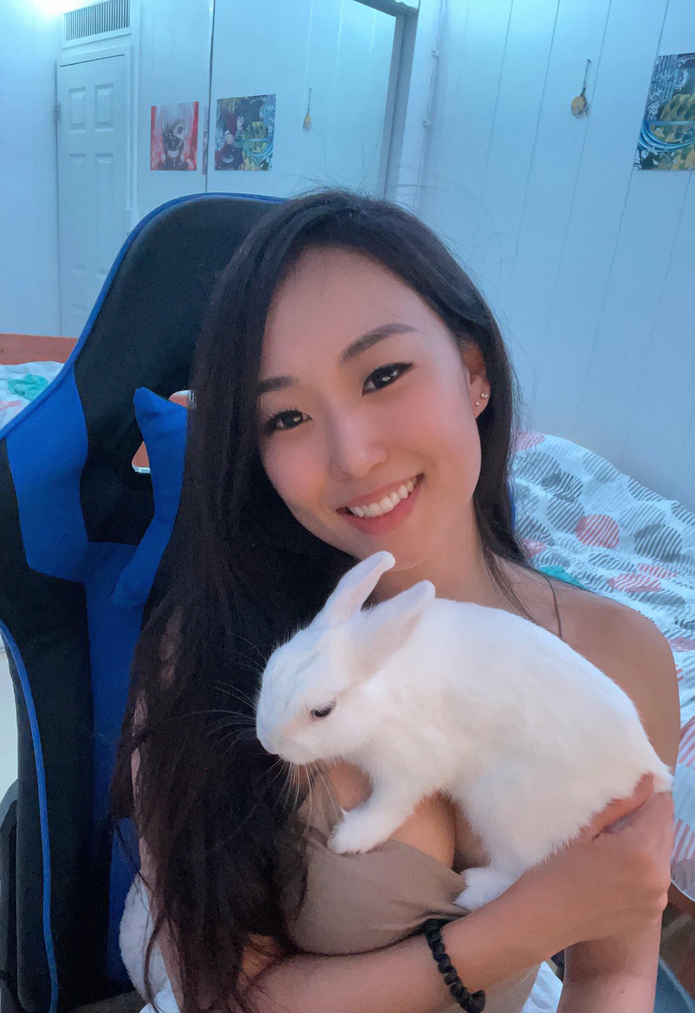 Bunny 🐰 | Scrolller